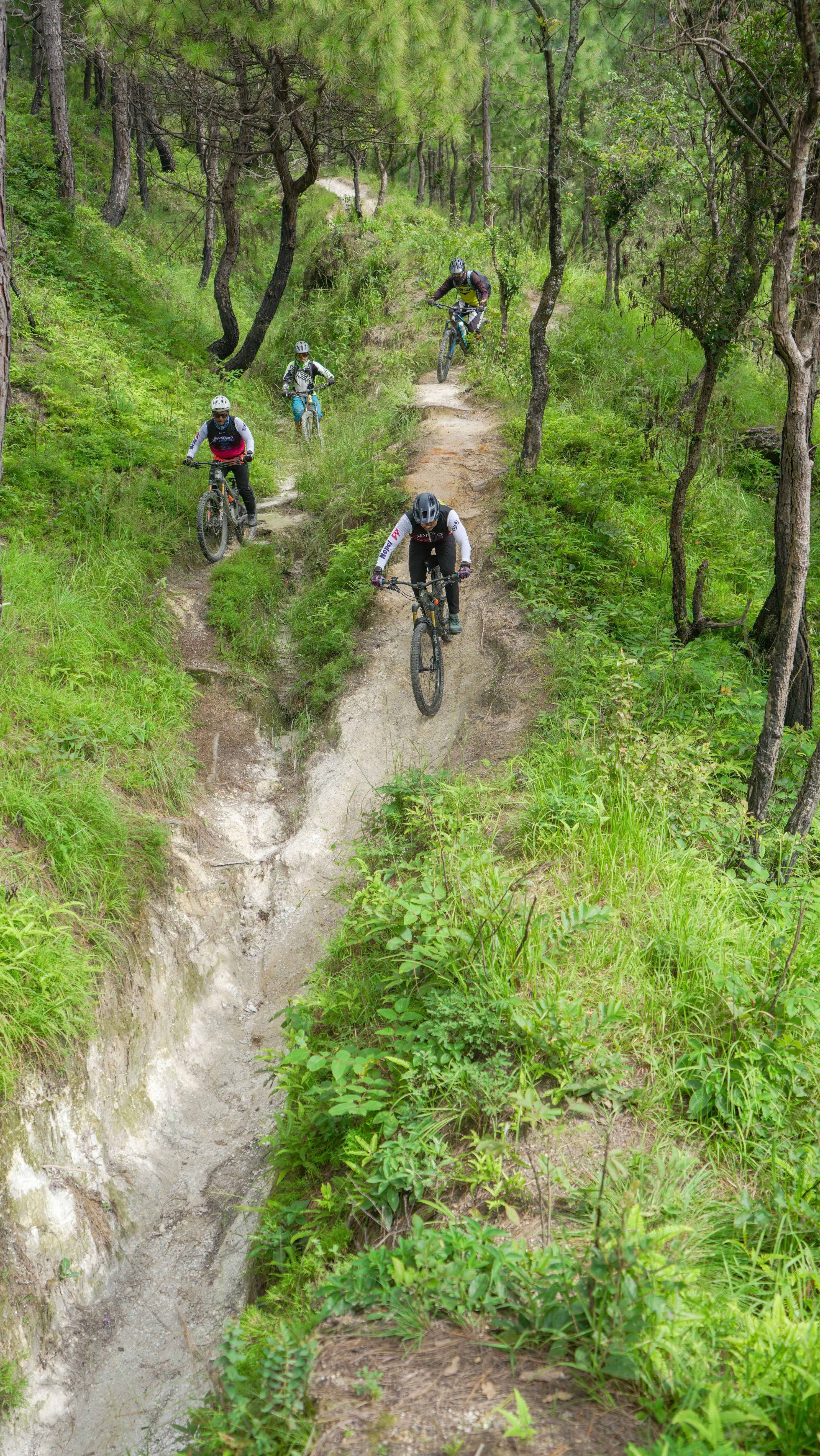 Mountain bikers descend a steep, wooded trail.
