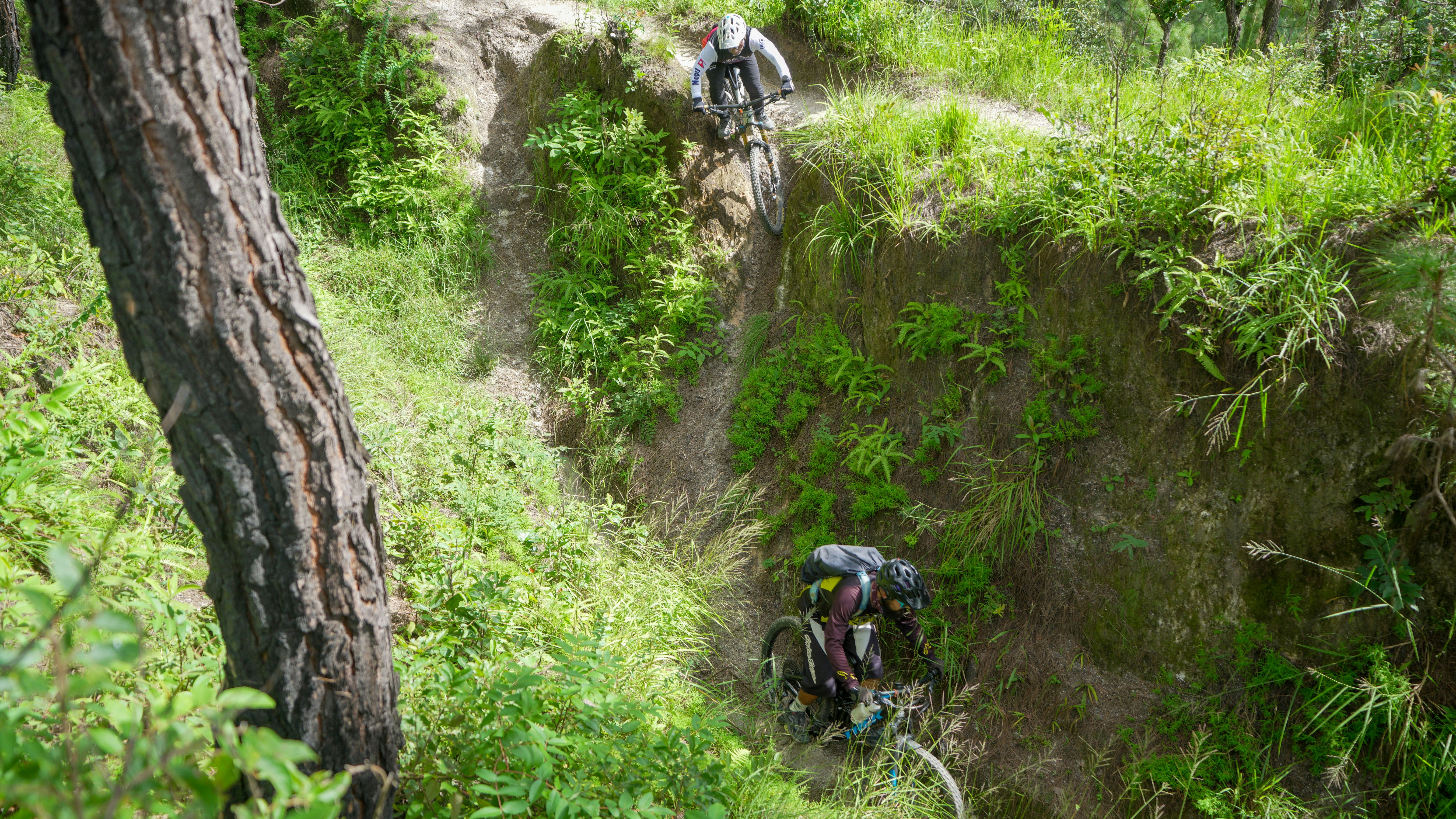 Two mountain bikers navigating a steep, overgrown ravine, showcasing the thrill of off-road cycling. The lush greenery frames their daring descent.