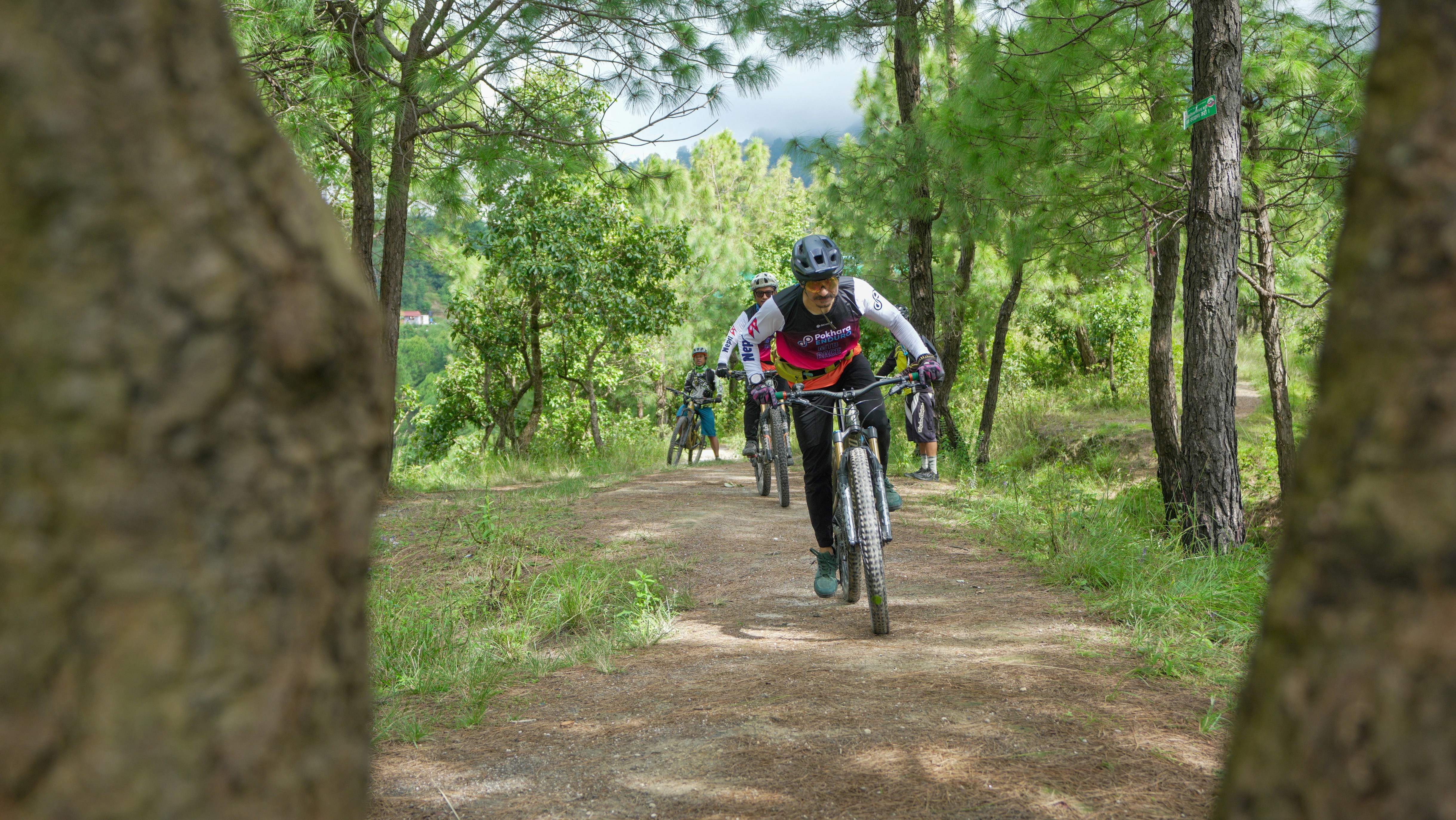 Mountain bikers navigating a winding trail through a lush pine forest, showcasing the thrill of outdoor adventure.