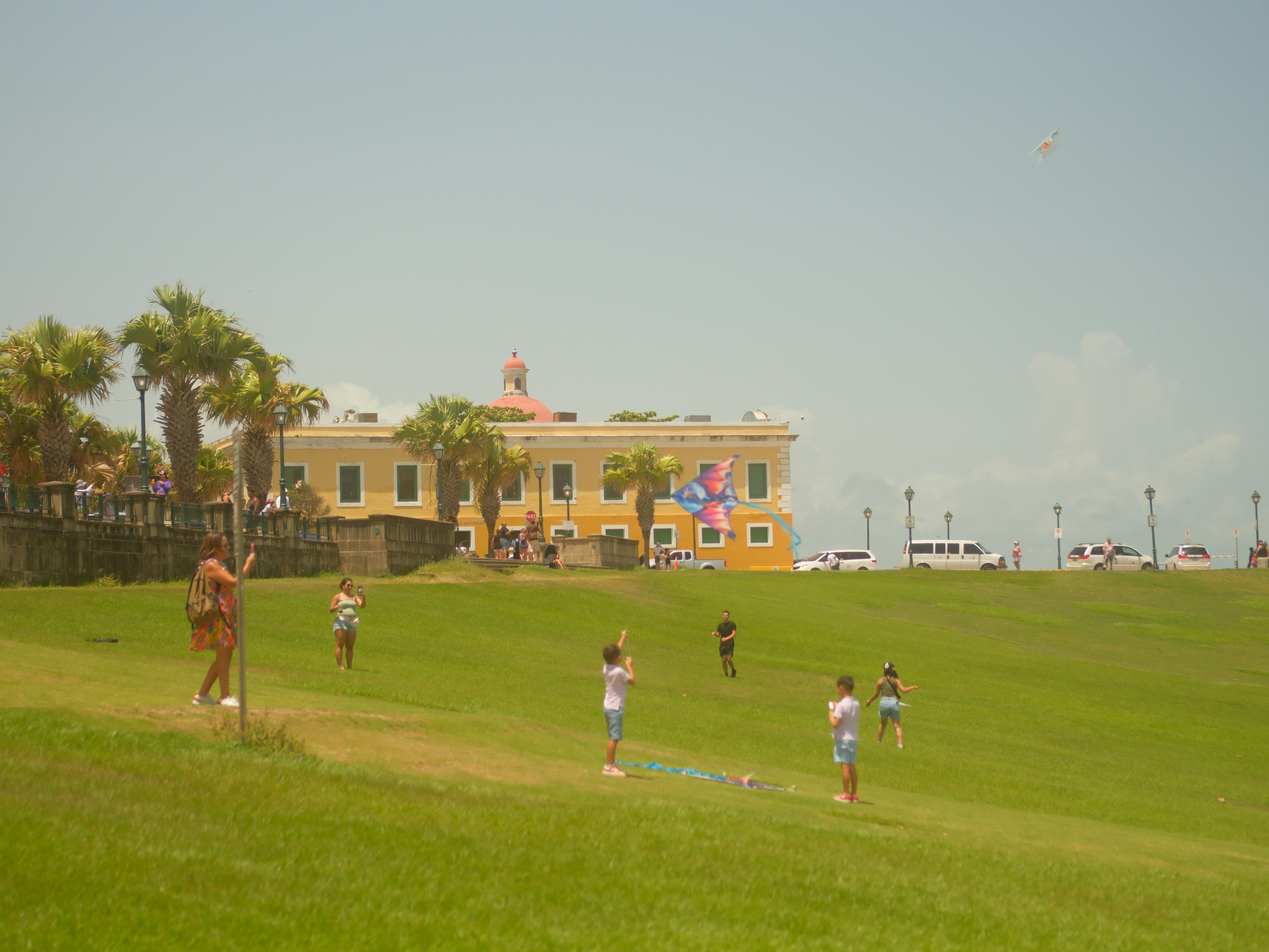 Children and adults enjoying a sunny day on a lush green lawn, with a historic building in the background. Kites soar above as palm trees sway gently in the breeze.