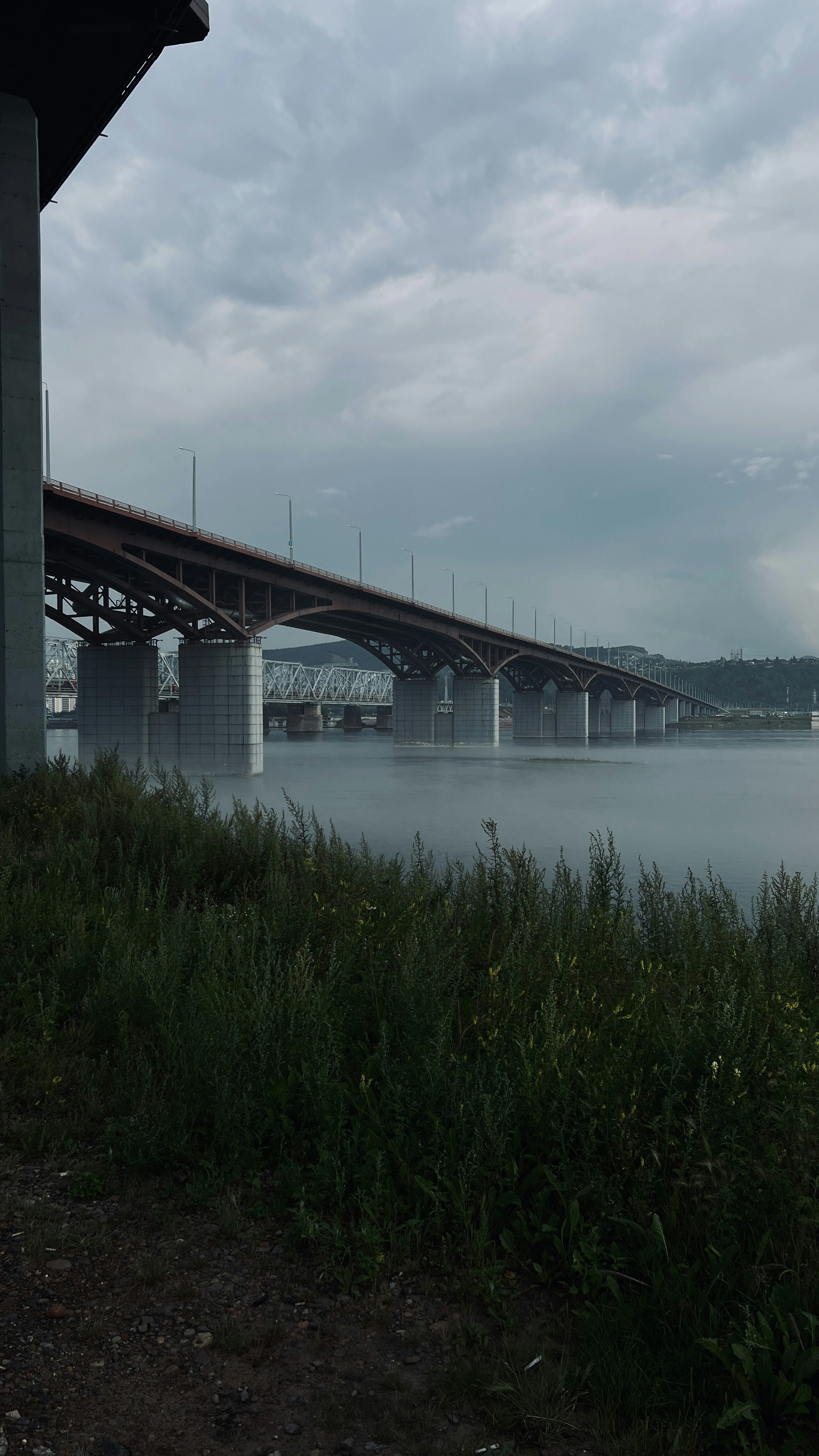 Bridging Nature and Engineering