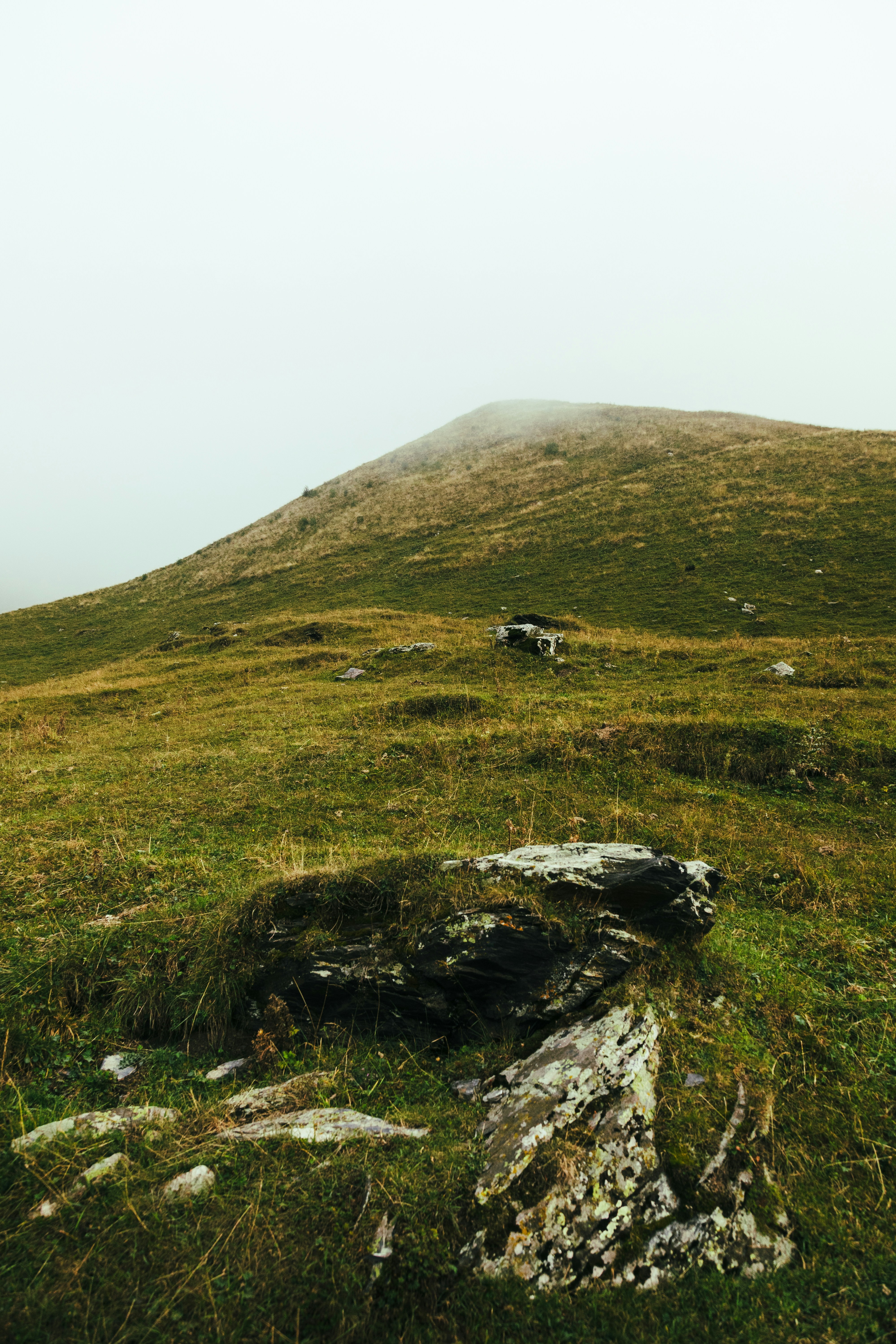 Whispers of the Misty Hills