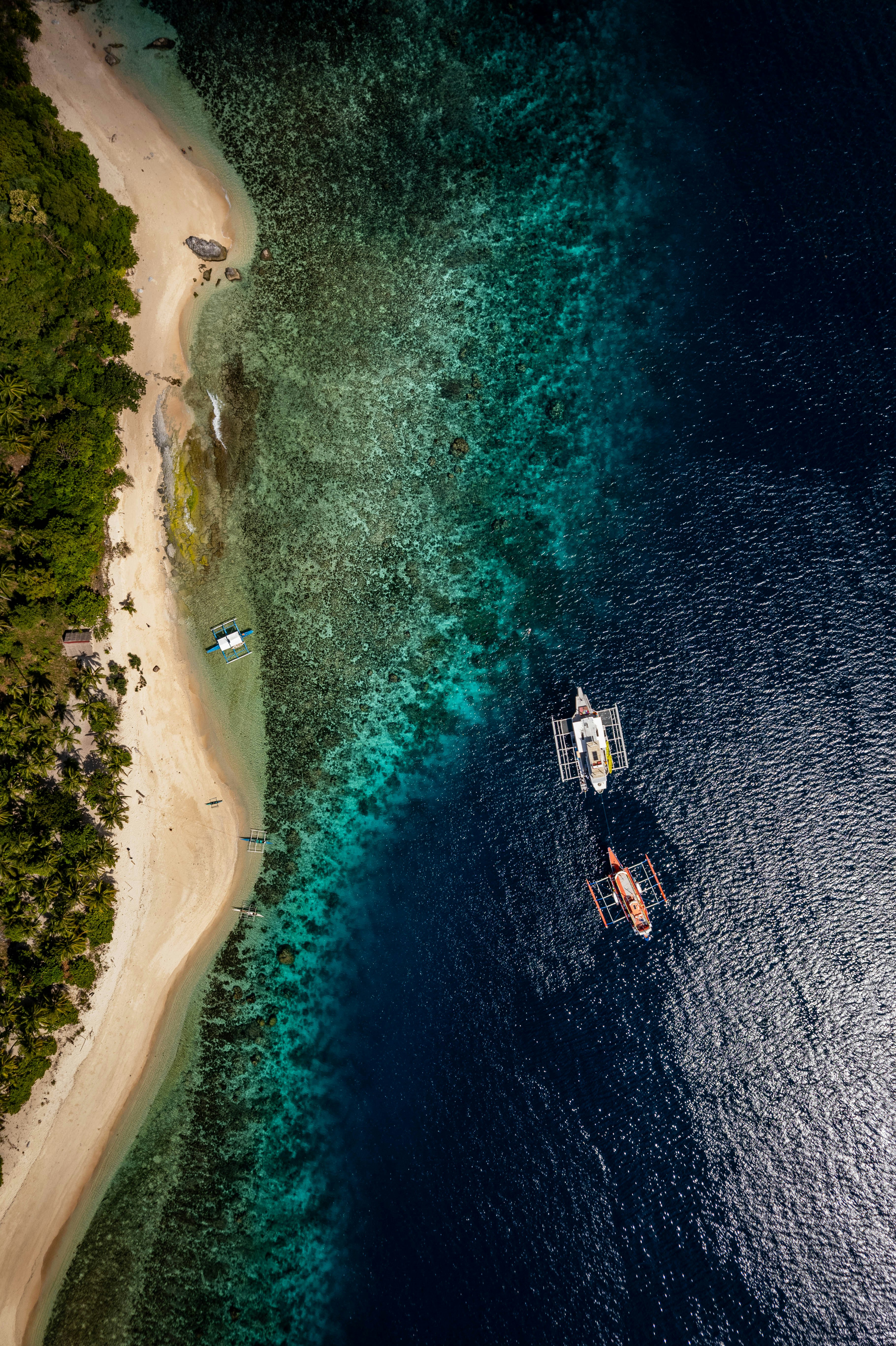Serenity Above the Shoreline