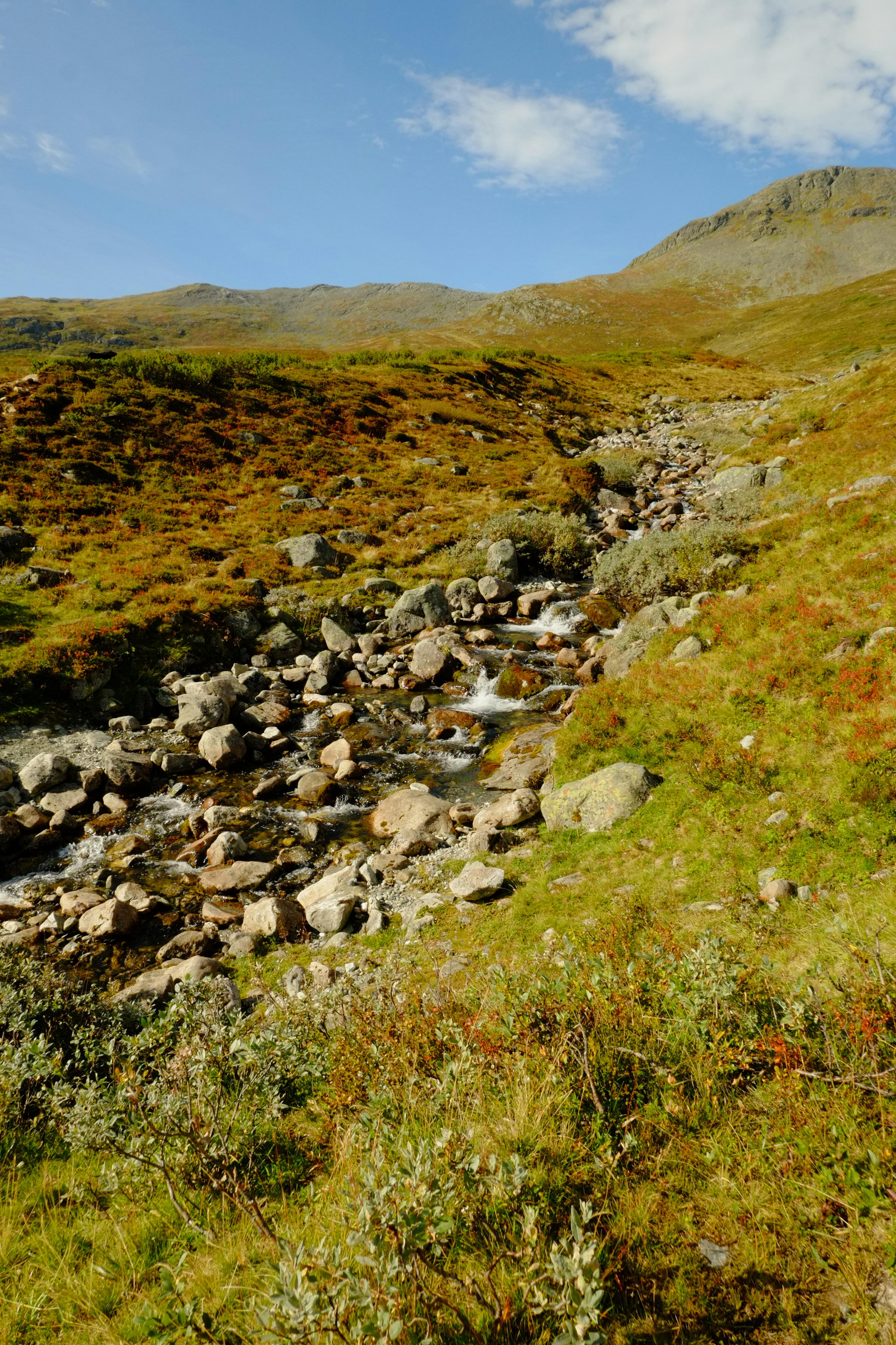 Gentle stream winding through lush highland vegetation, framed by rolling hills under a clear blue sky.