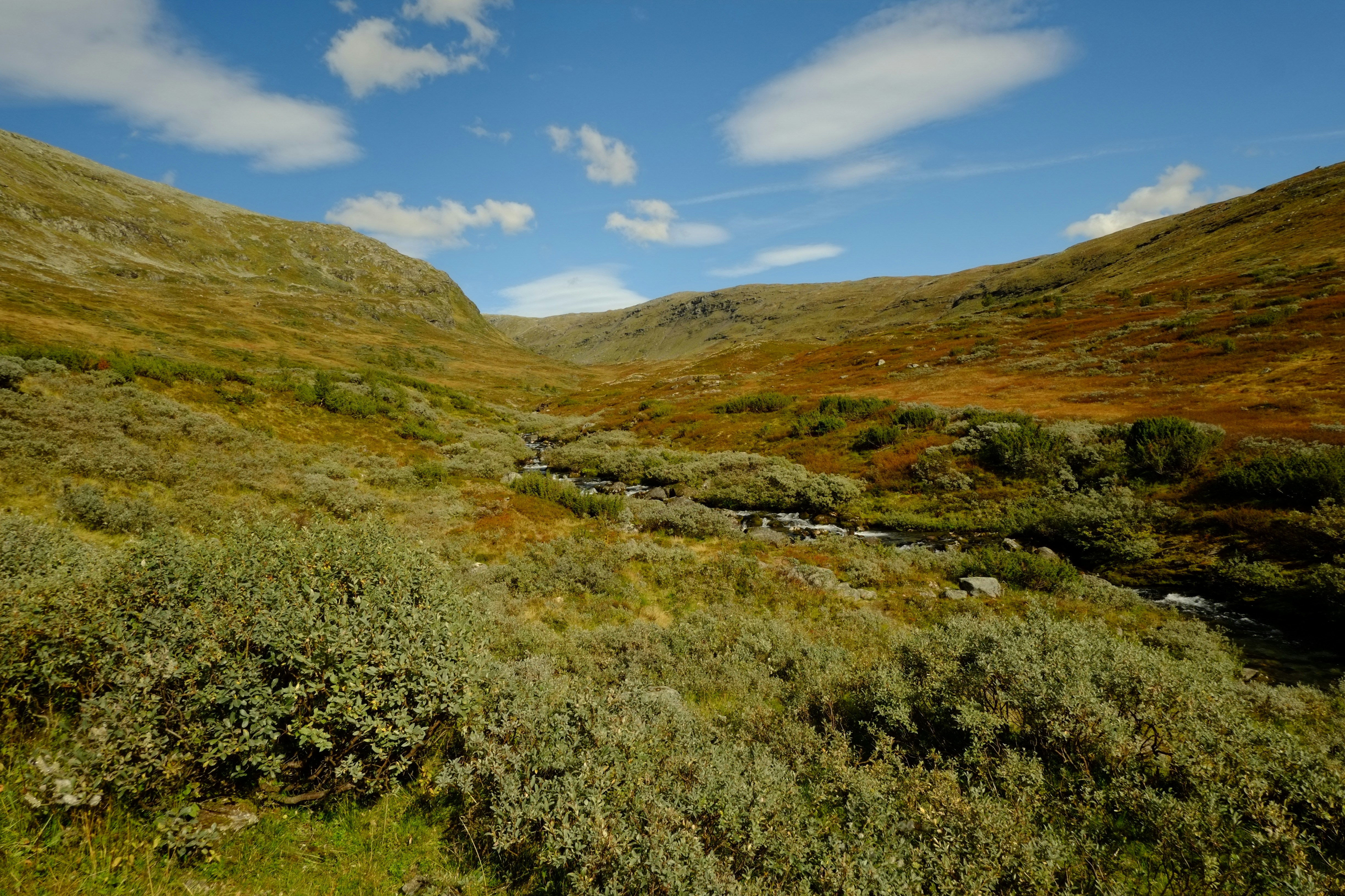 Lush green and golden foliage blankets a serene valley with a winding stream, under a bright blue sky dotted with clouds.