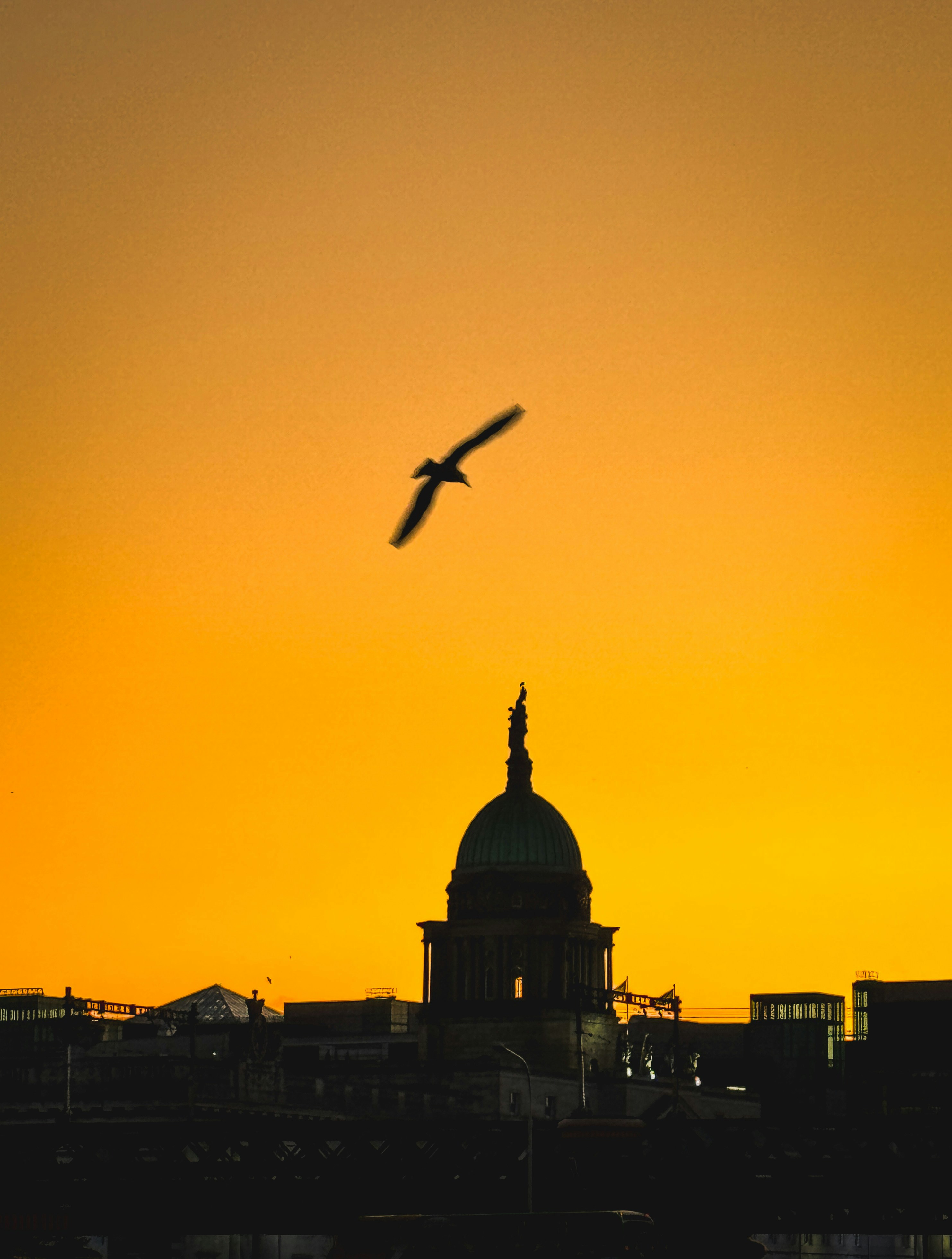 Silhouetted Serenity: A Sunset's Embrace