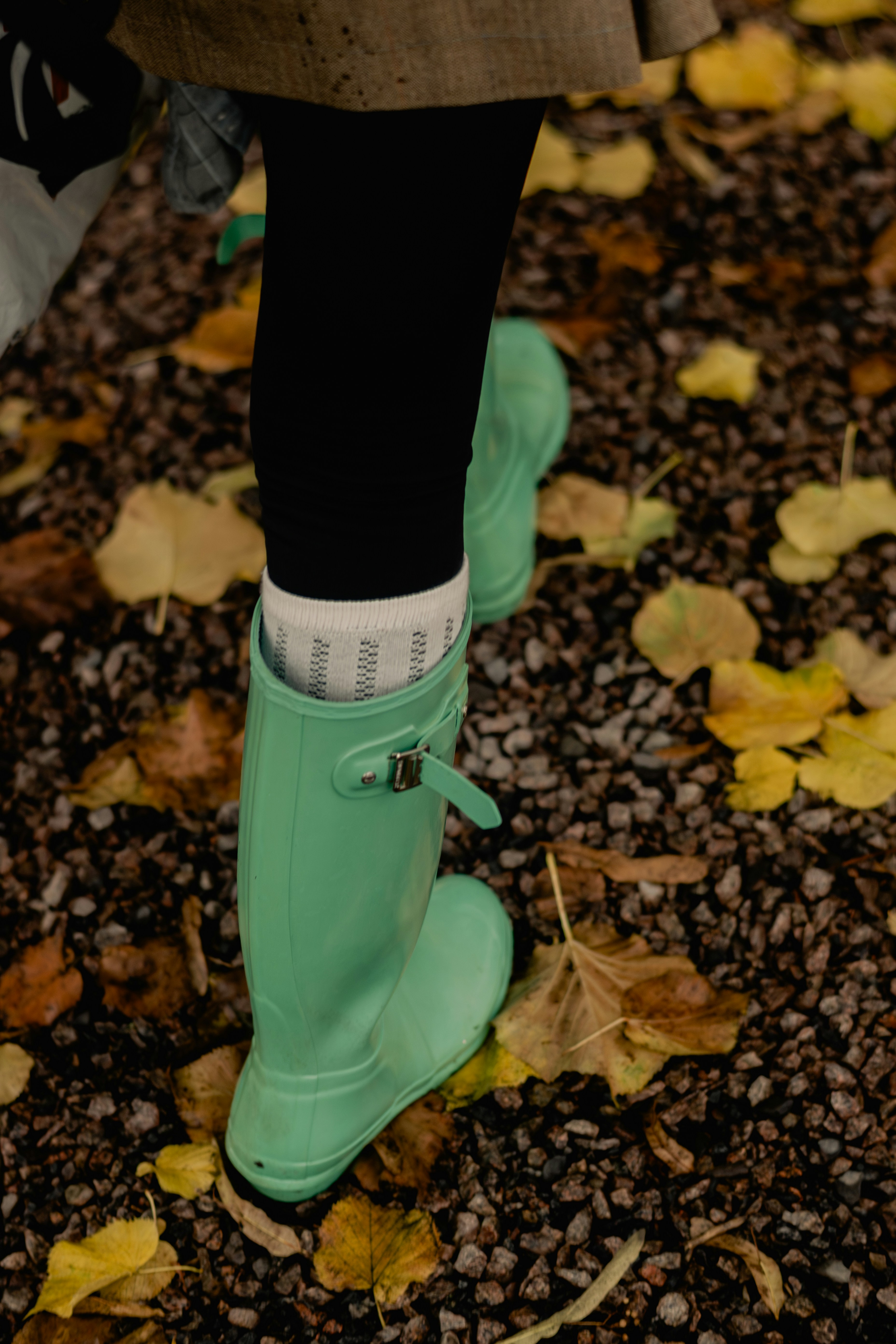 Stepping into Autumn's Embrace