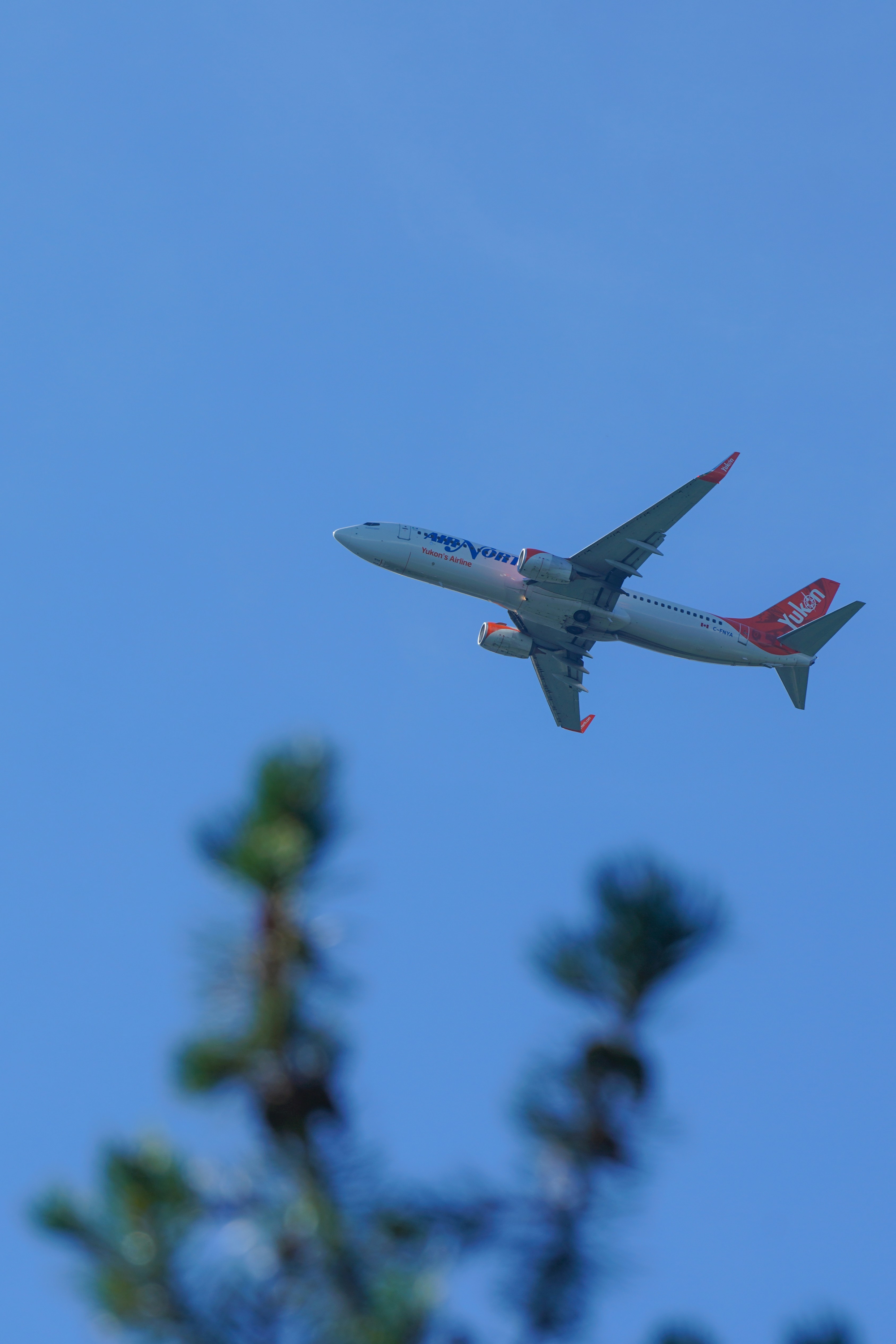 Soaring Above: A Skyward Journey