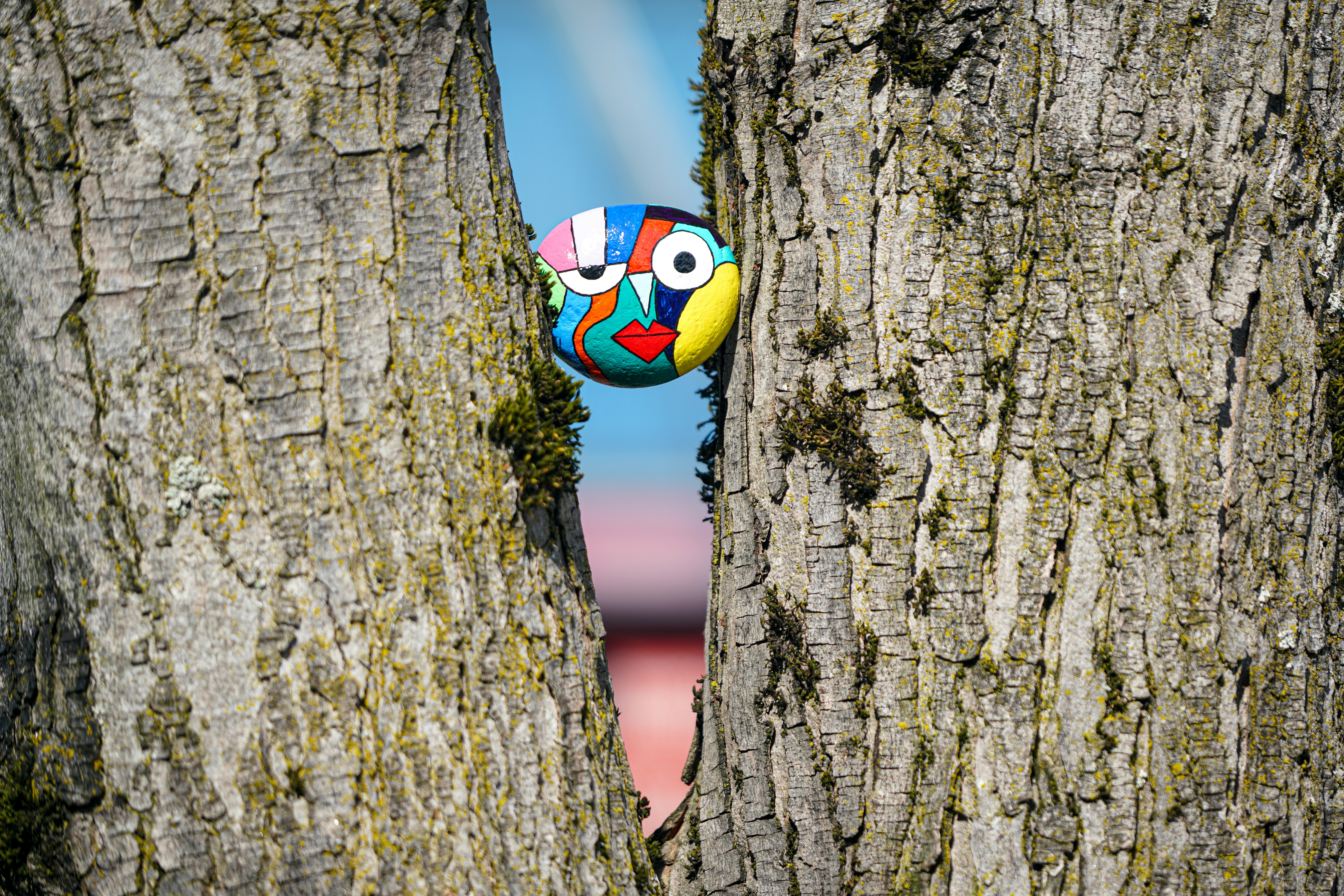 Colorful ball with a face peeking through trees