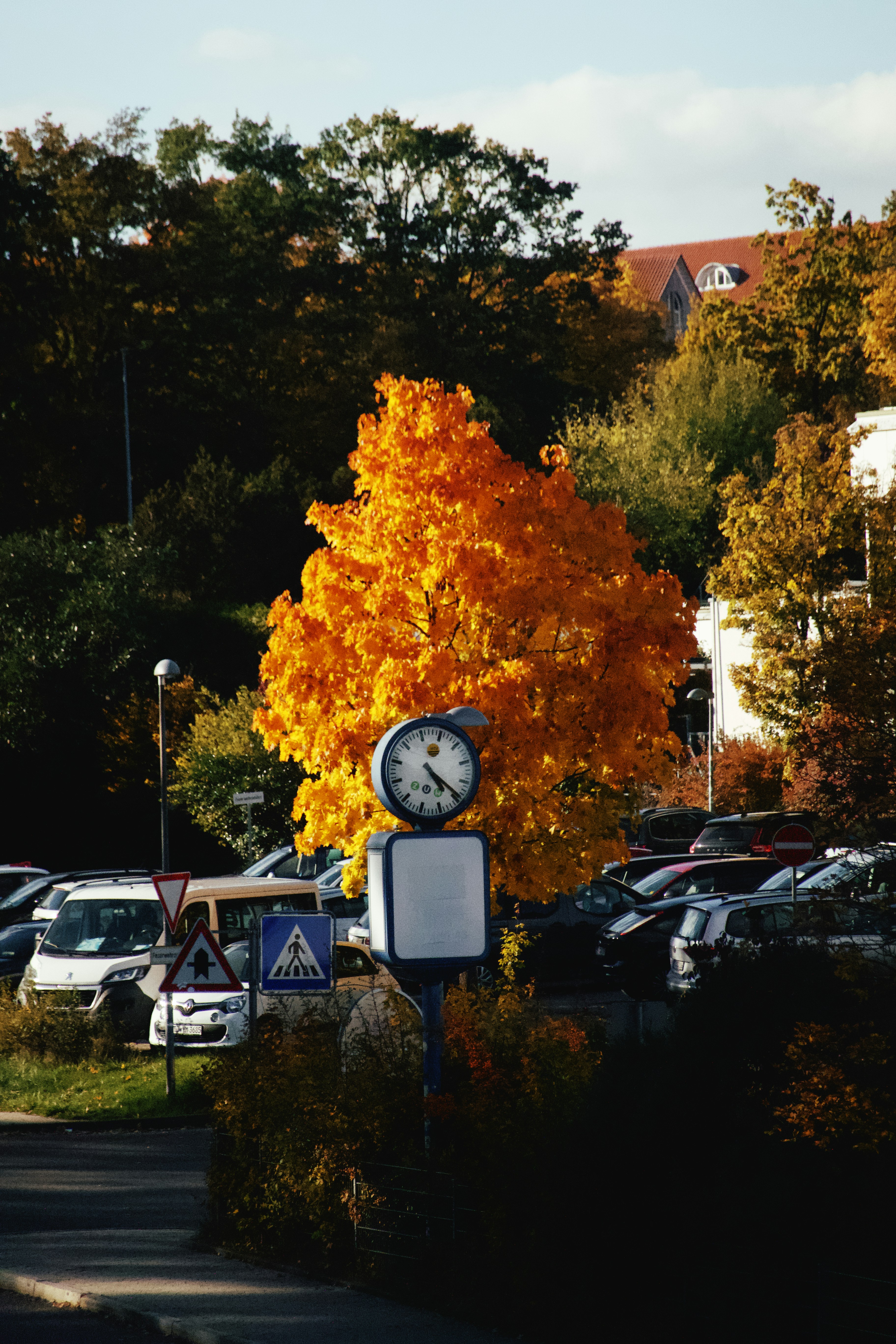 Autumn's Timekeeper: A Clock Amidst Golden Foliage