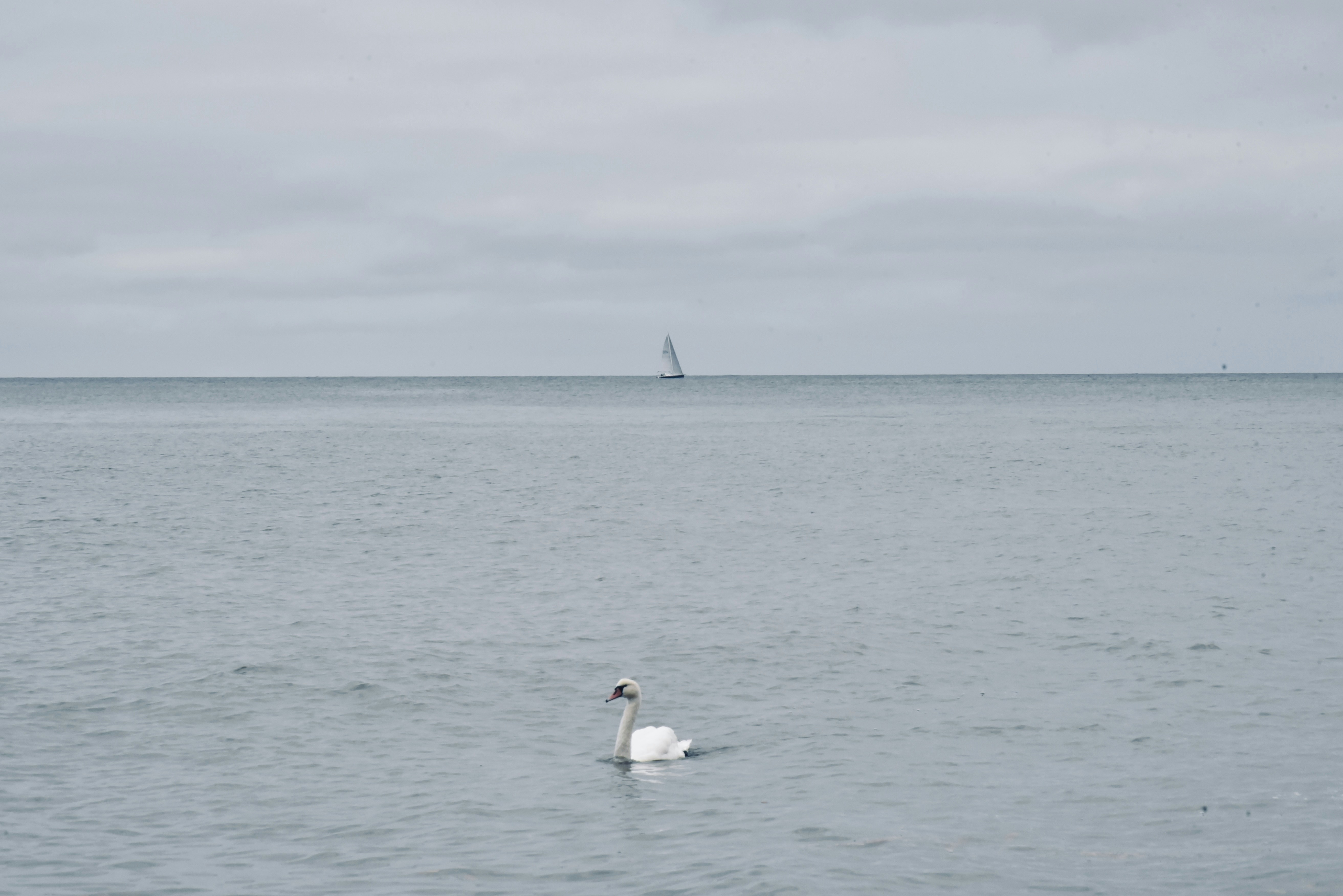 Serenity on the Water's Edge