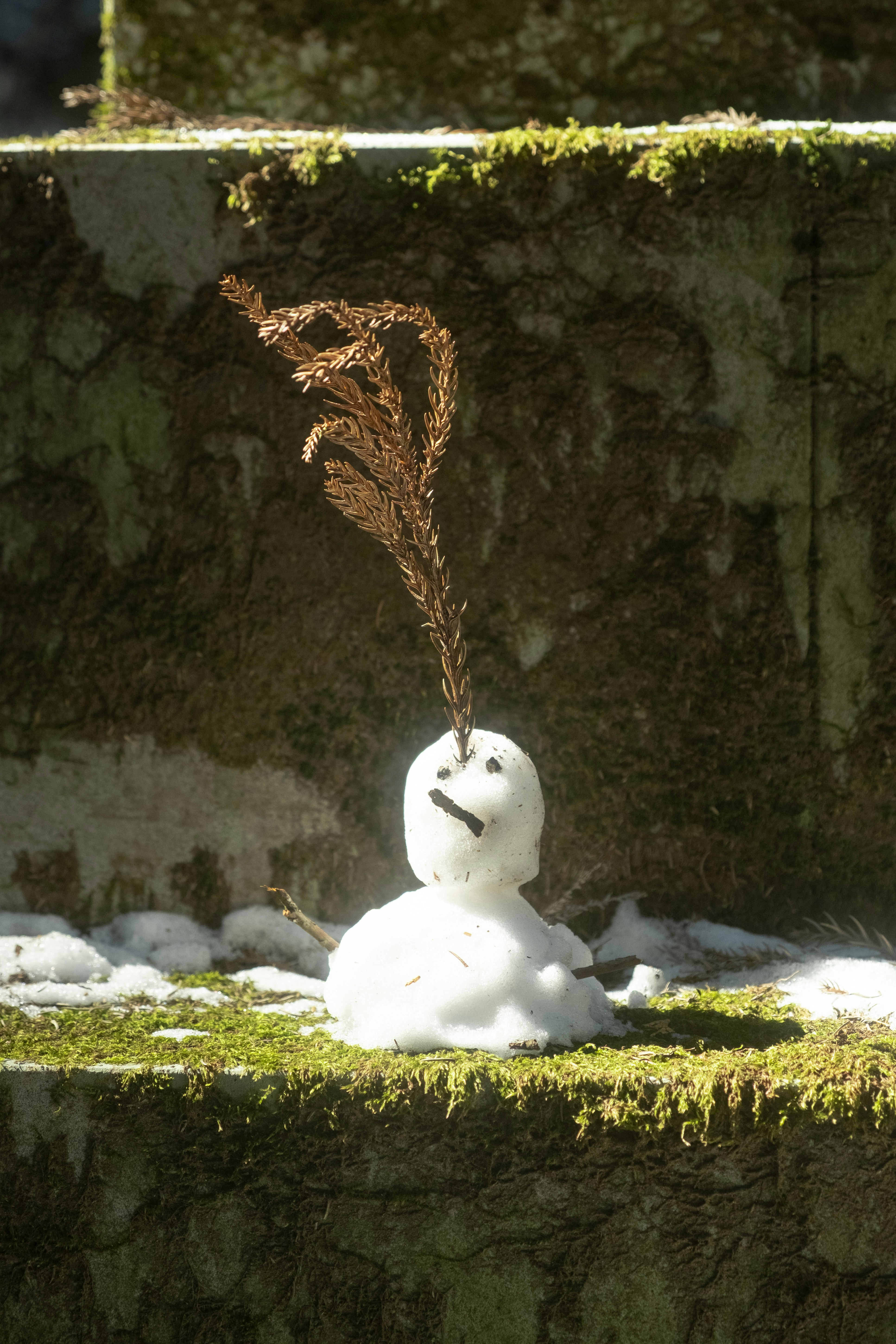 Whimsical Winter Creation: The Snowy Sentinel