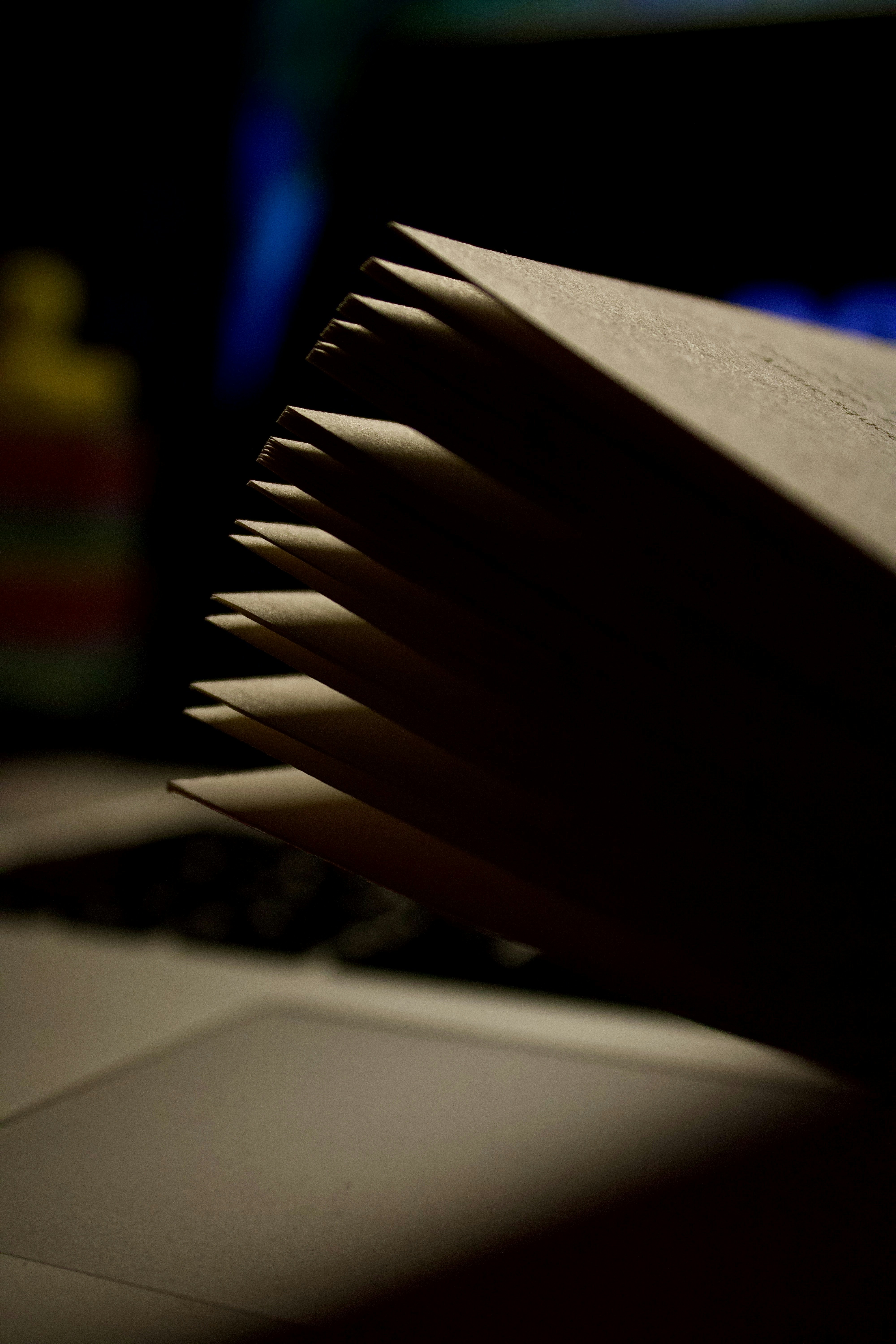 Close-up of an open book with pages fanned out.
