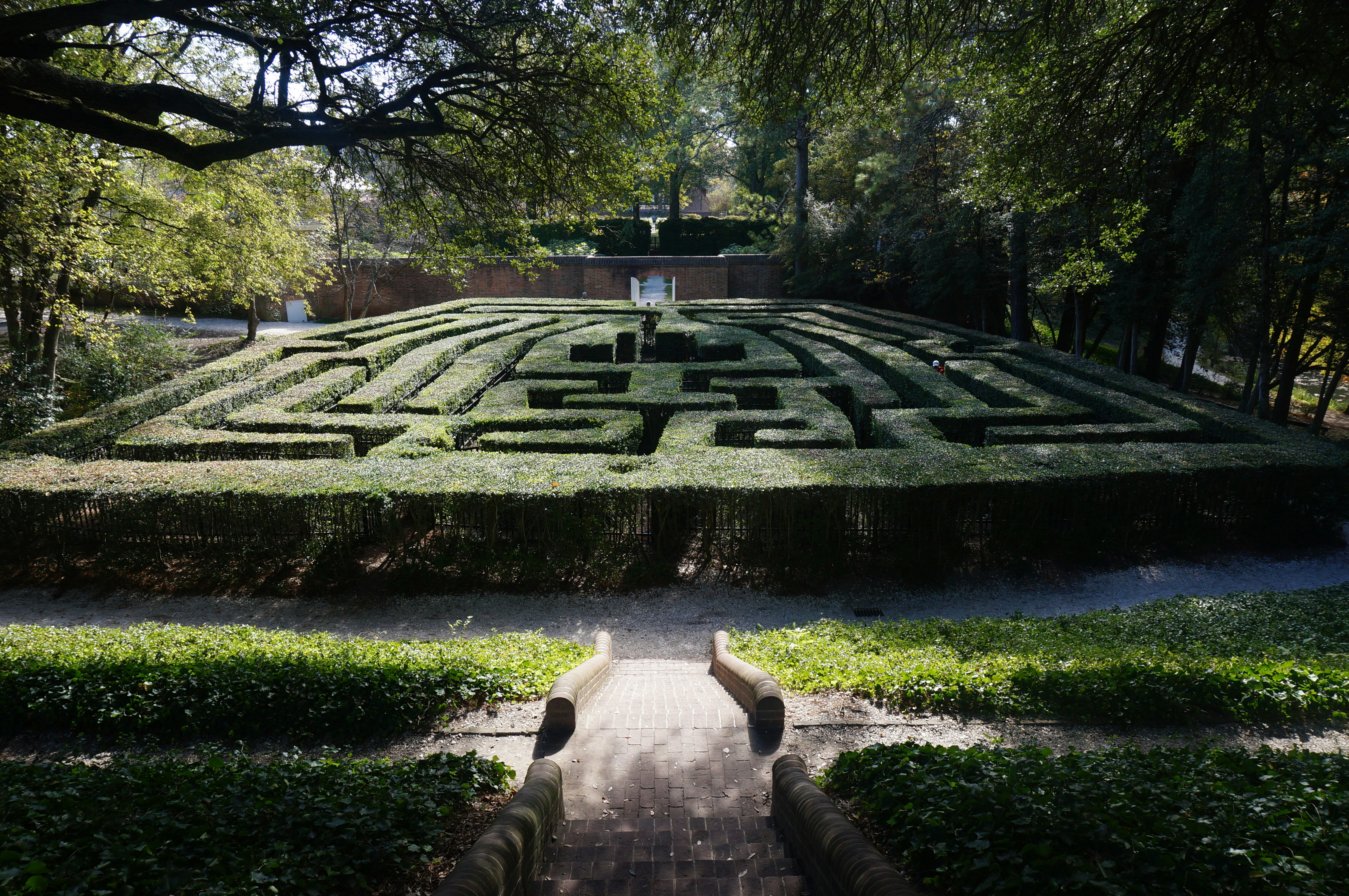 A large hedge maze in a sunlit garden.