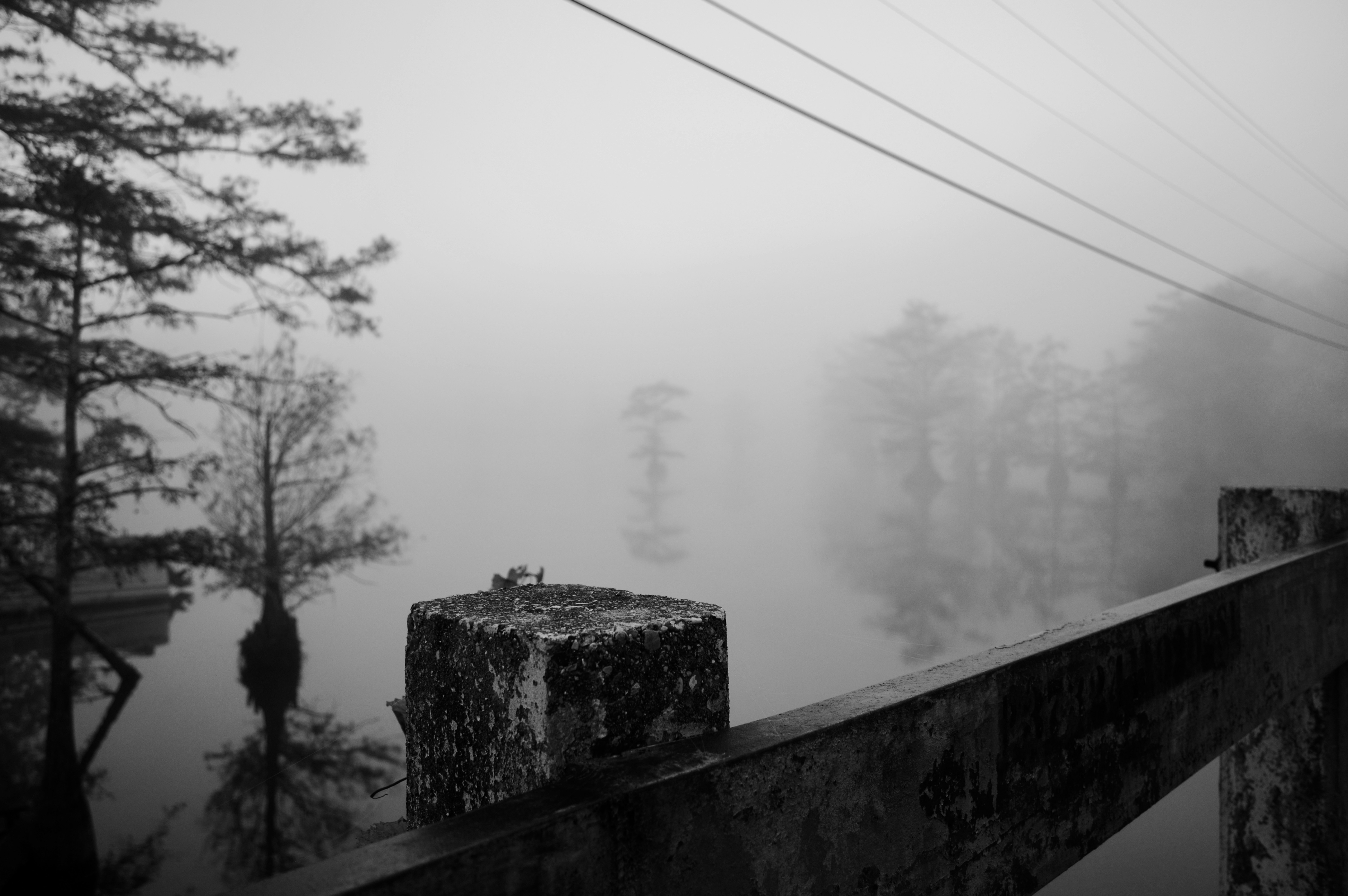 Veil of Mist Over Tranquil Waters