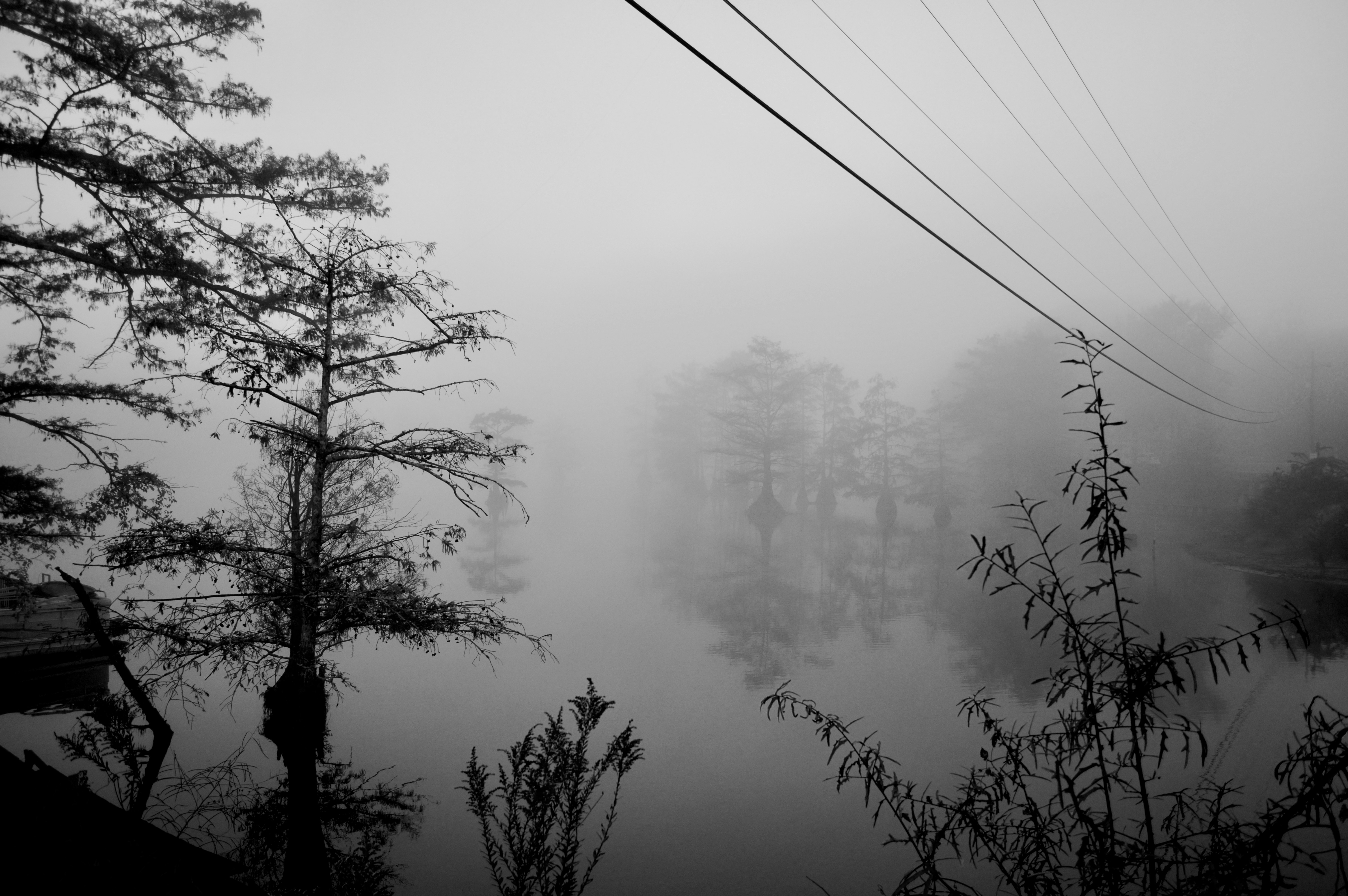 Fogbound Reflections: Silhouettes on a Quiet Lake Crossed by Wires