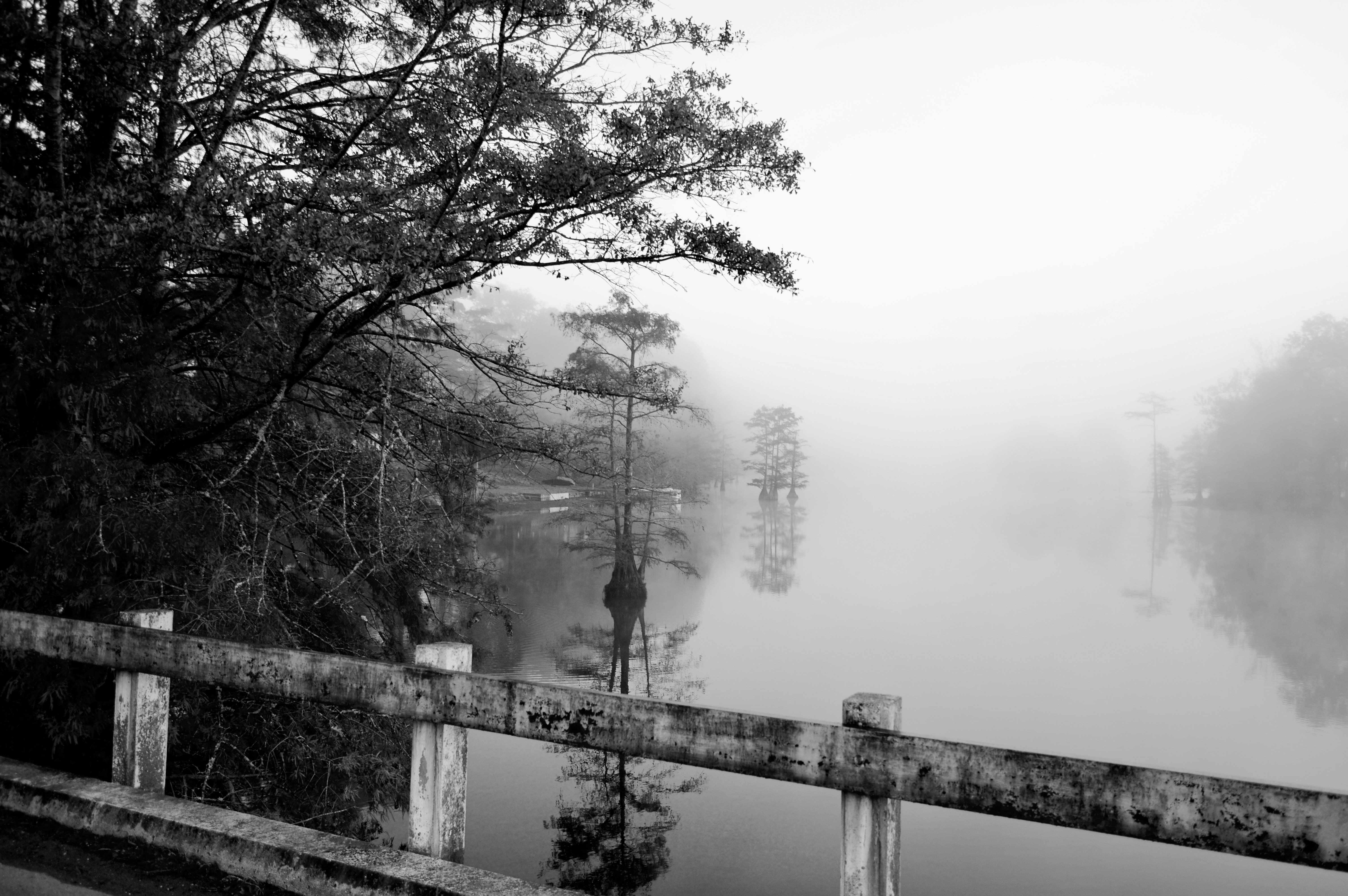 Lone Silhouette on a Fog-Blanketed Bridge