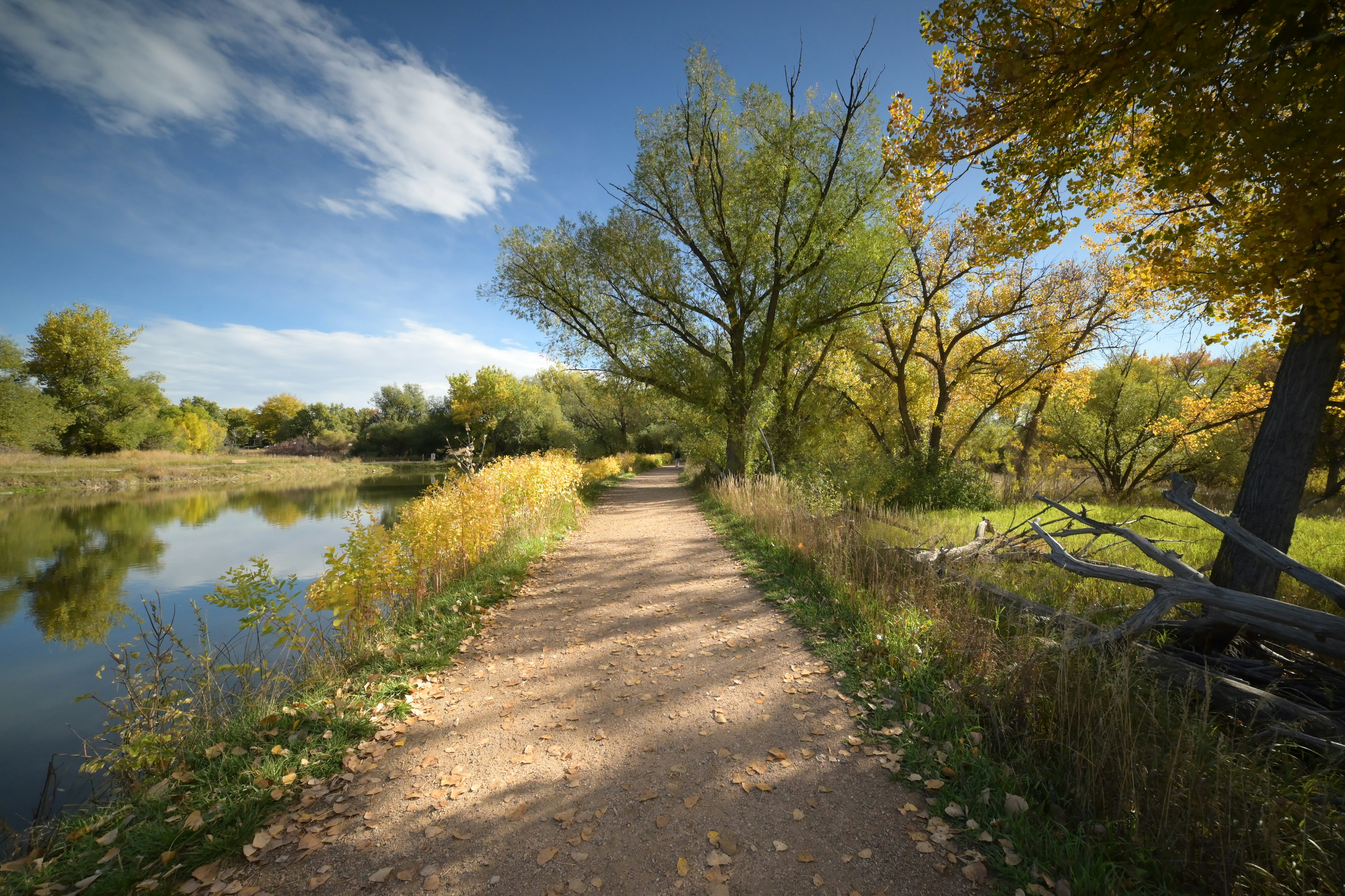 Autumn's Embrace Along the Waterside Path