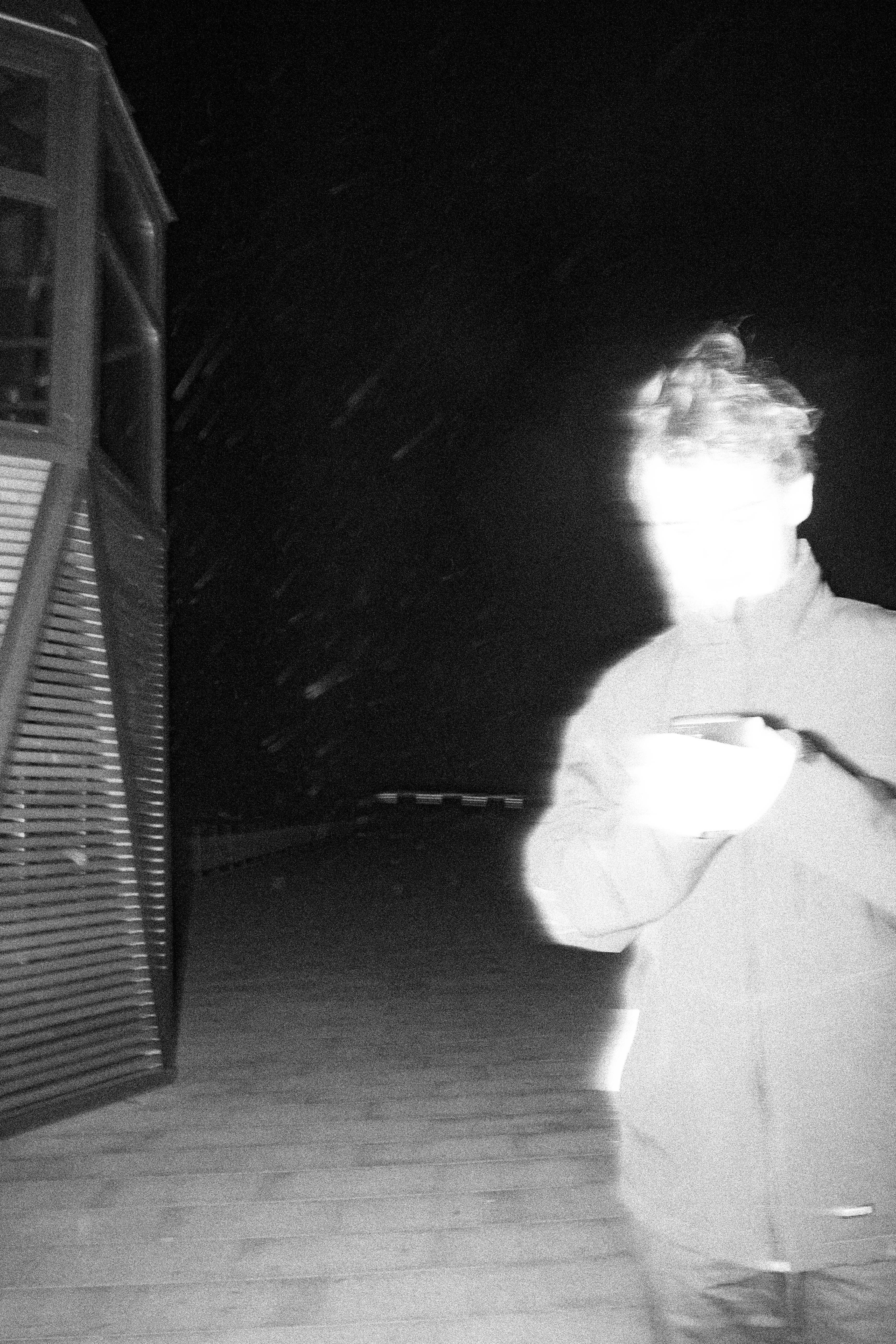 Whispers of the Night: A Blurred Encounter