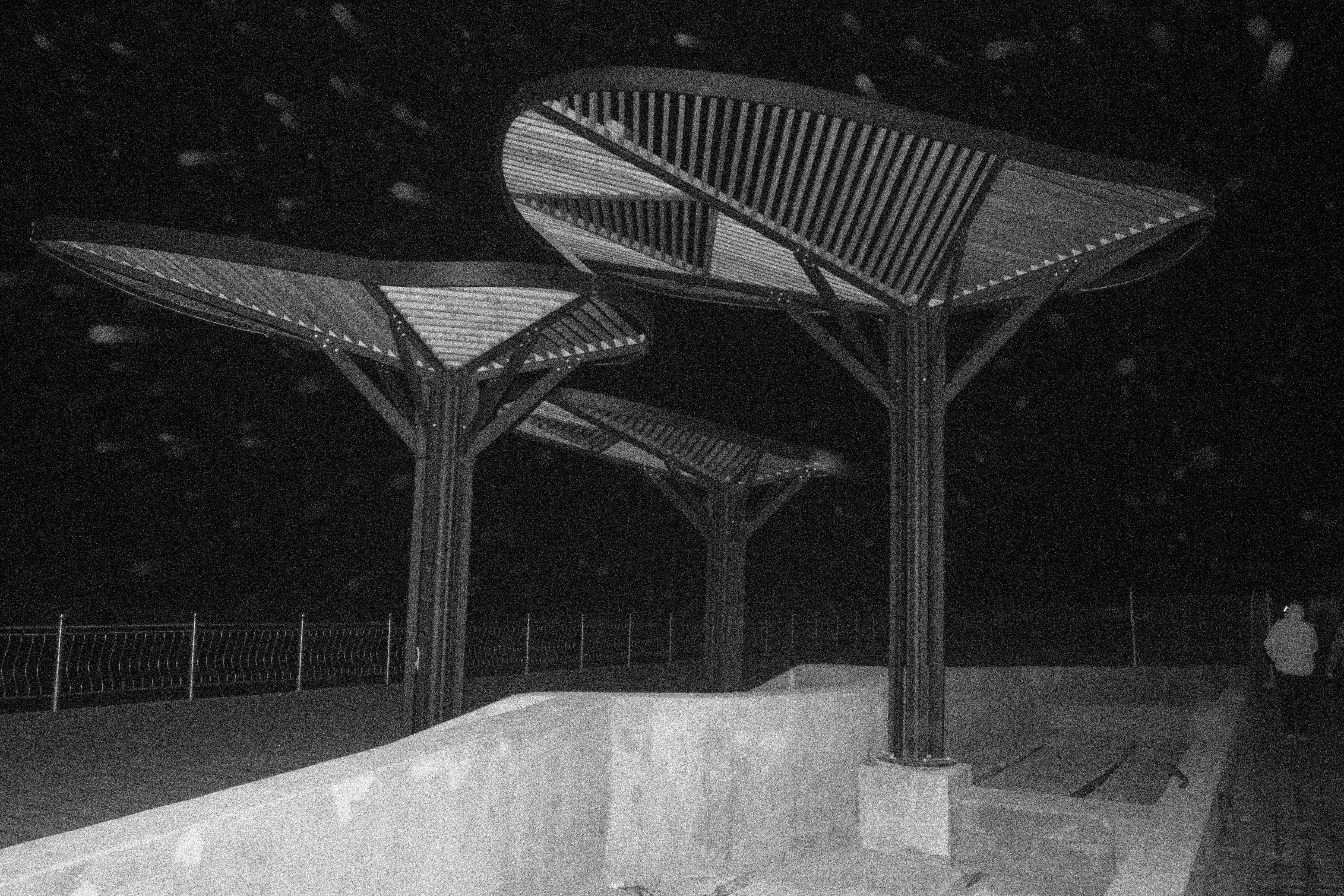 Architectural Canopies: A Nighttime Encounter