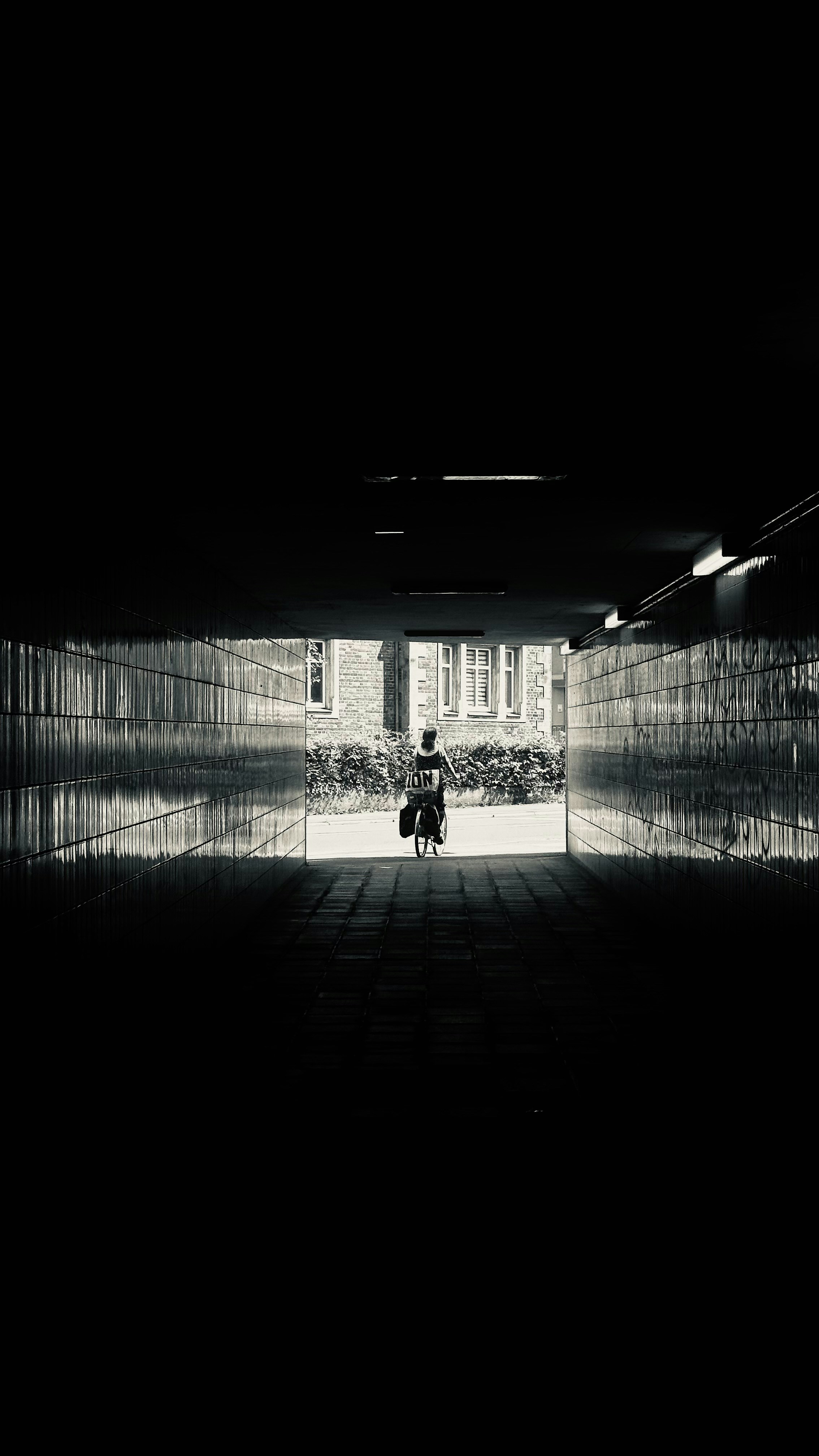 Emerging from Shadows: A Journey Begins