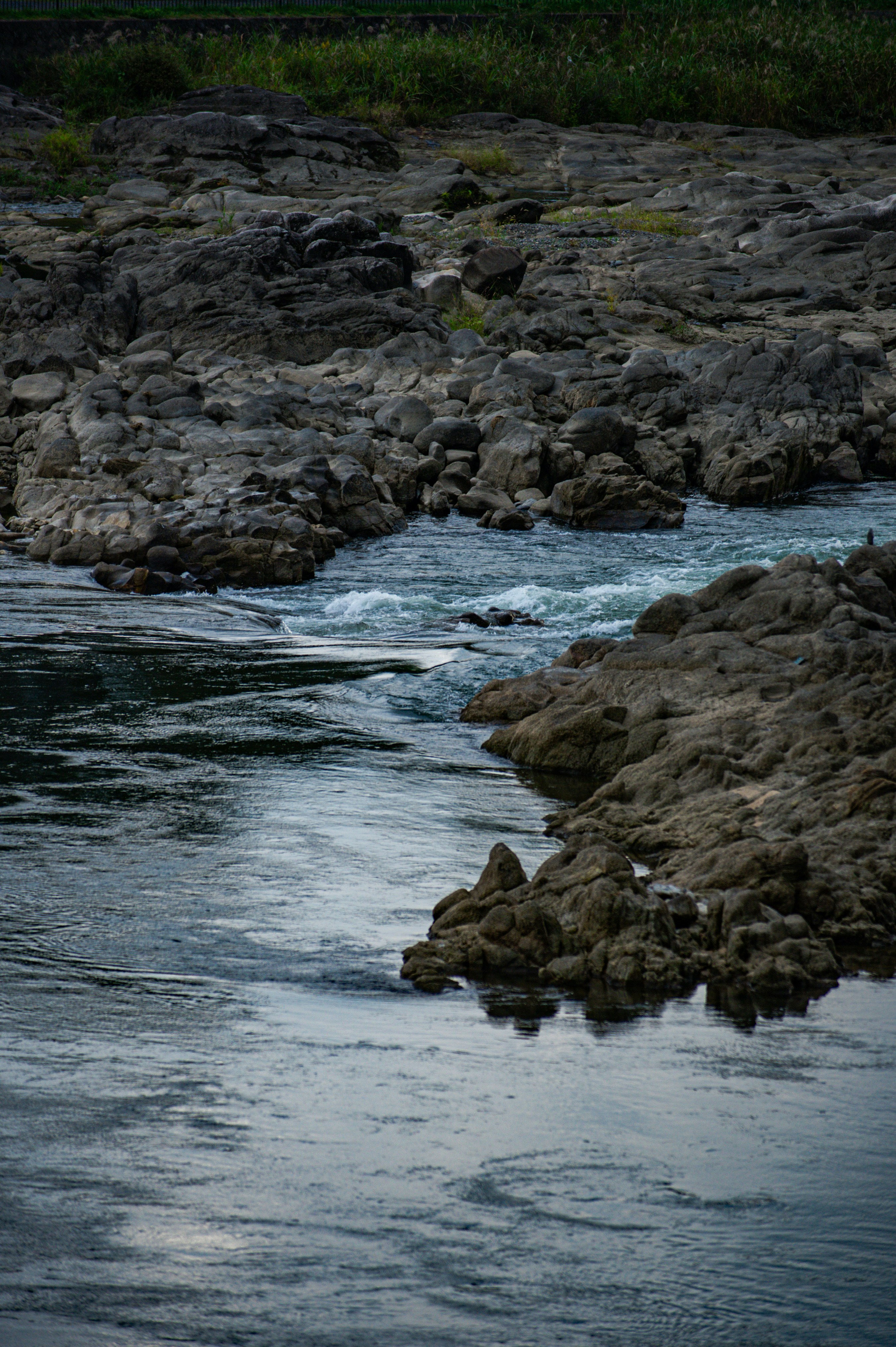 Whispers of the Riverbed