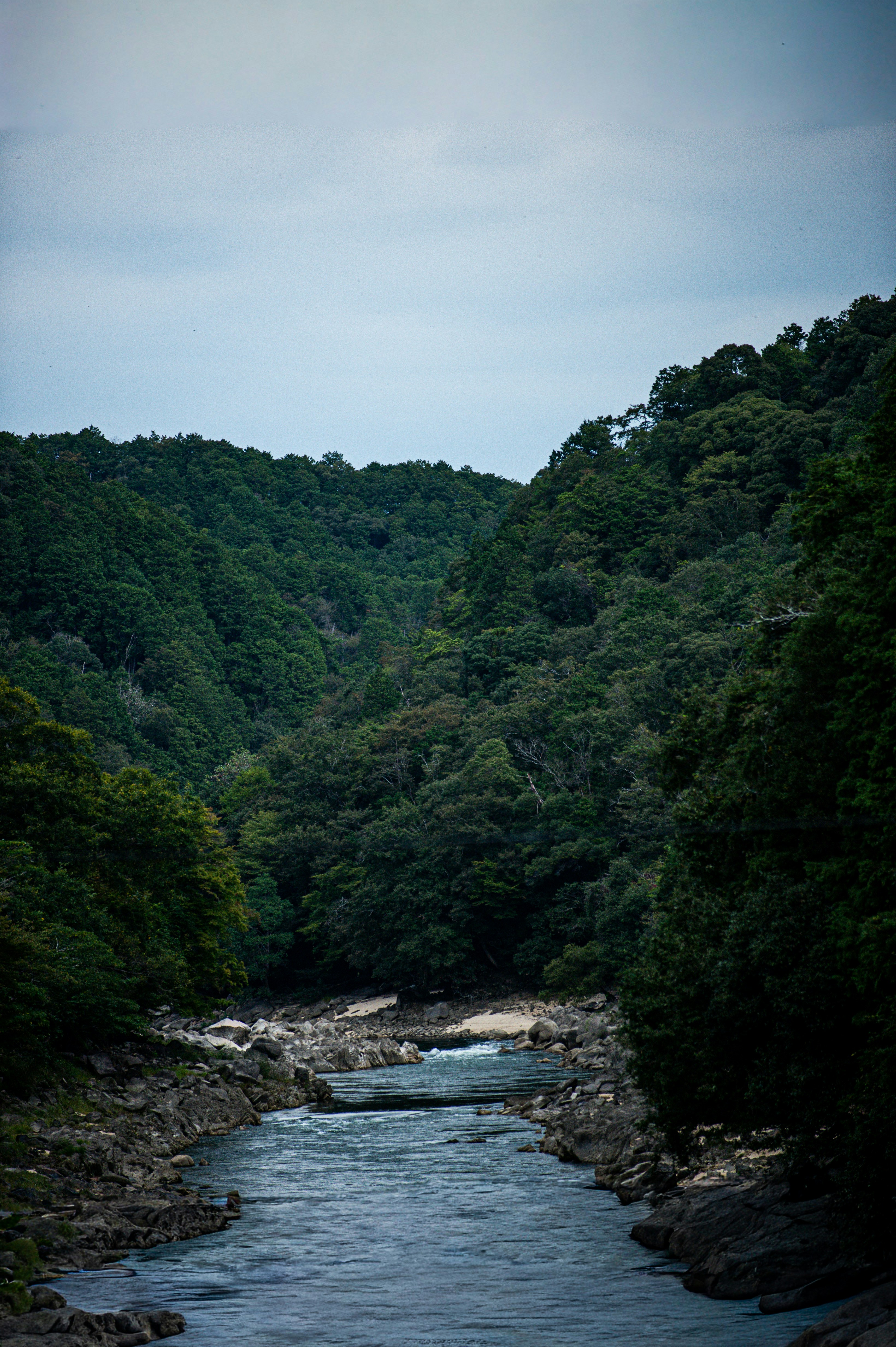 Whispers of the River Valley