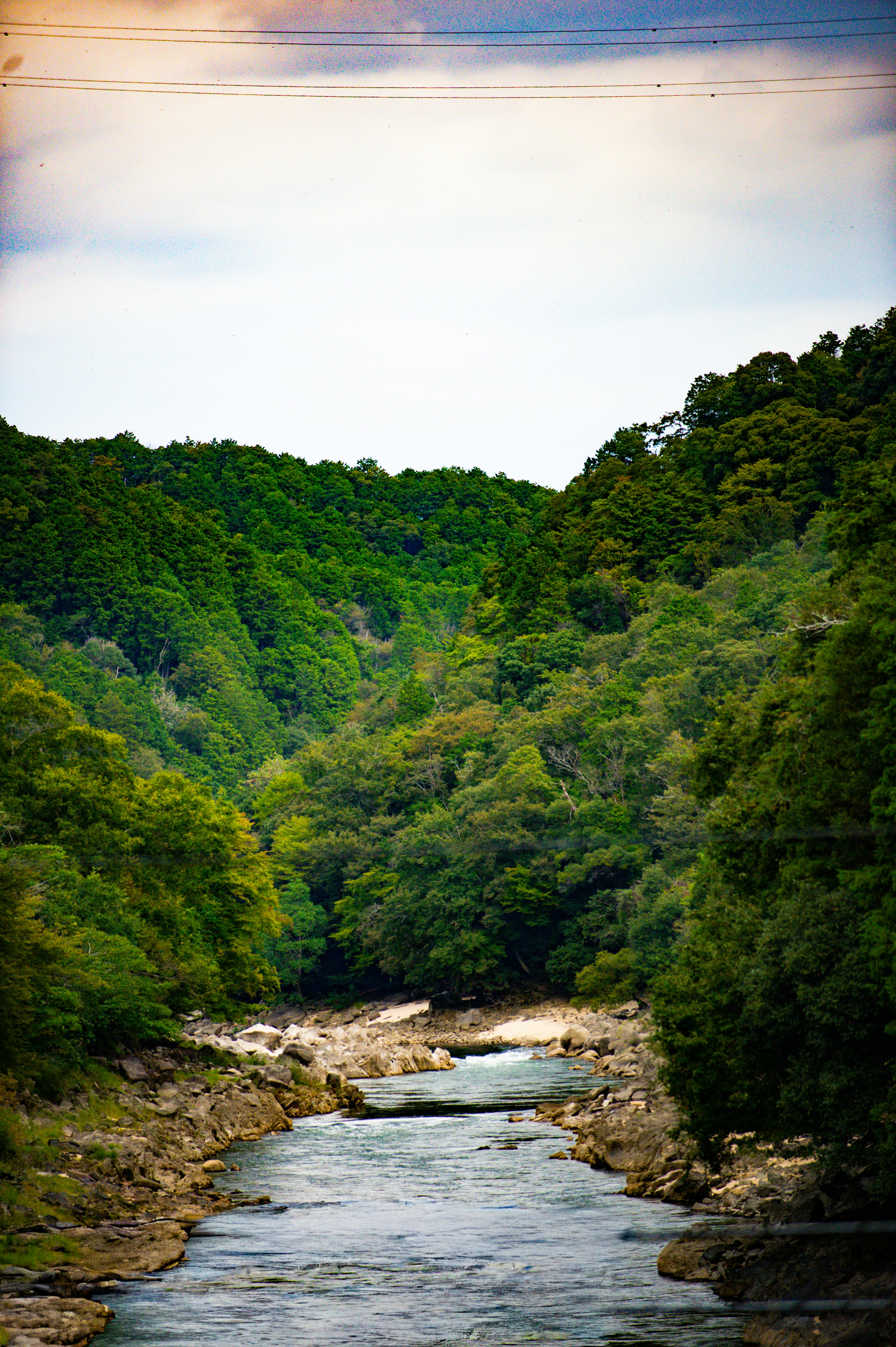 Whispers of the Flowing River