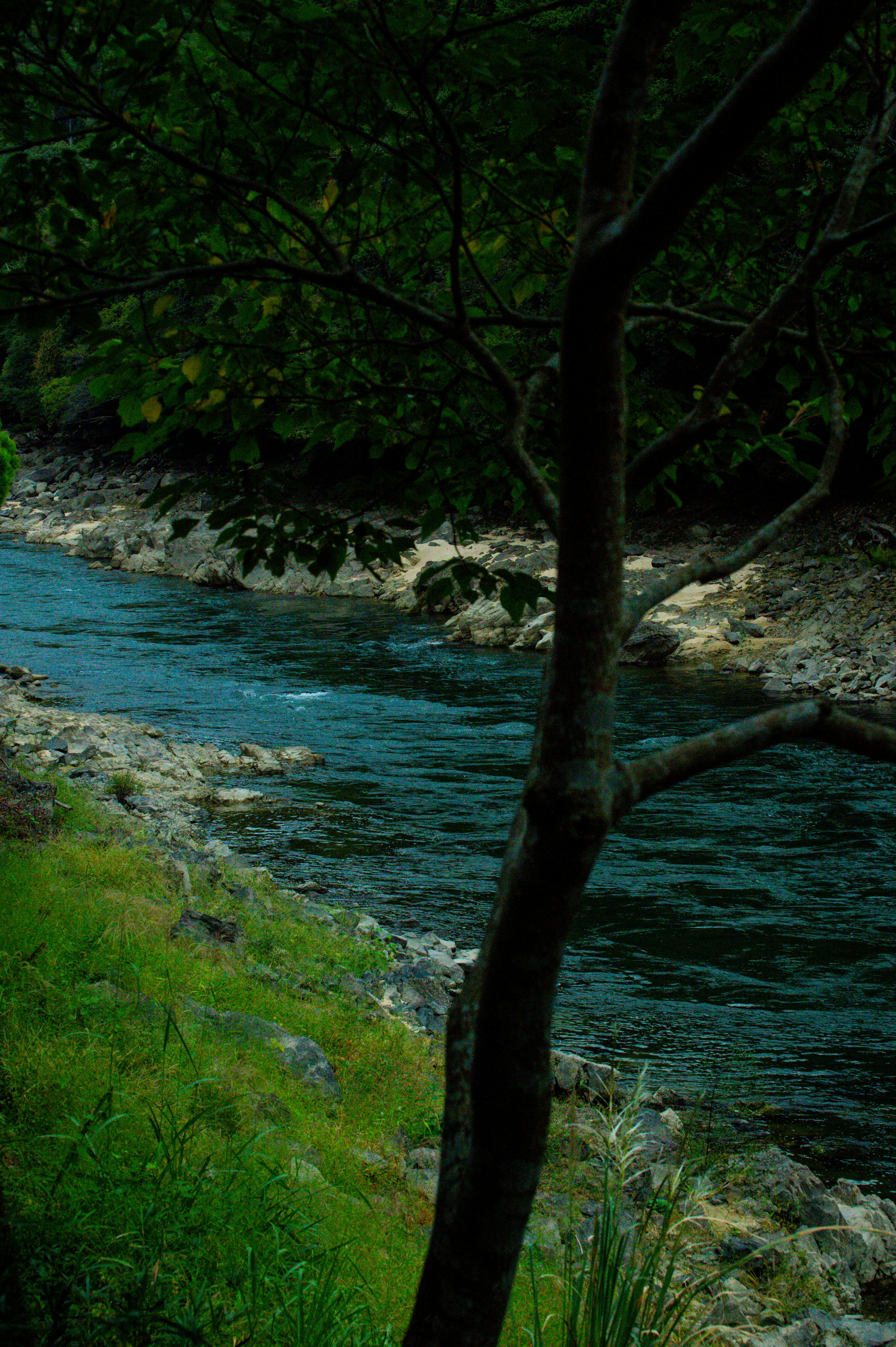 Whispers of the Flowing Stream