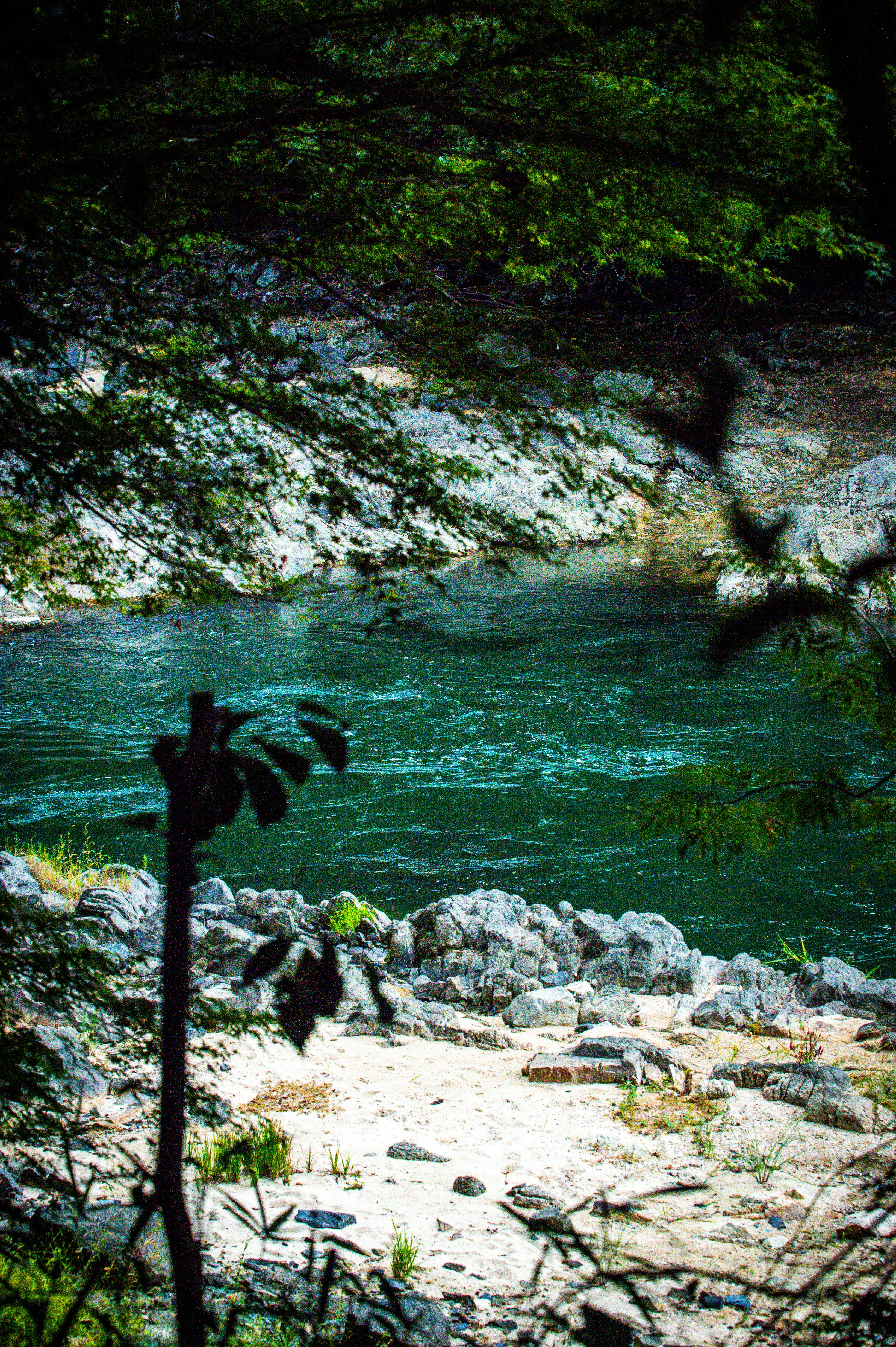Whispers of the Riverbank