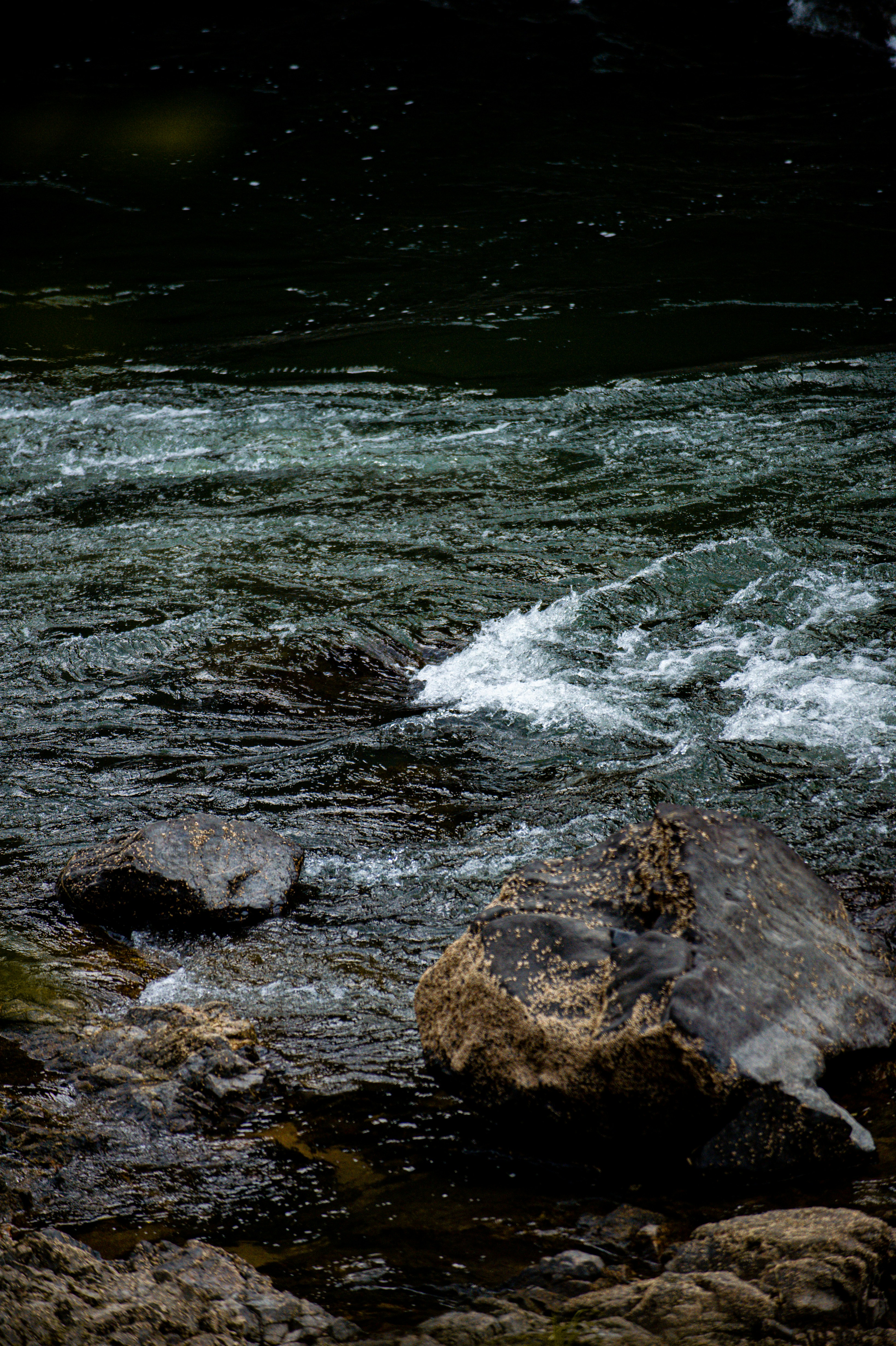 Whispers of the Stream: Nature's Gentle Flow