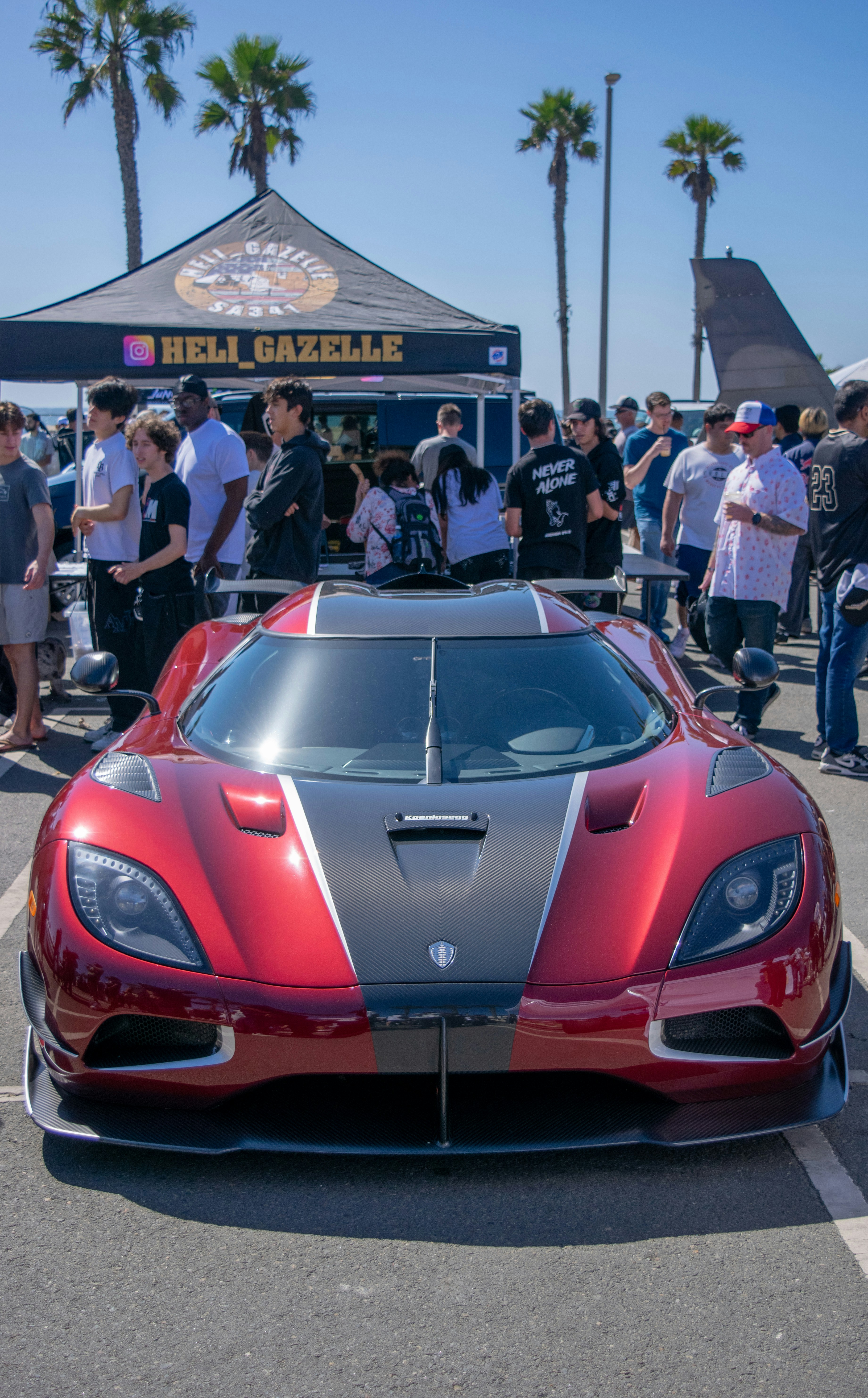 The Gazelle Unleashed: A Marvel of Automotive Design