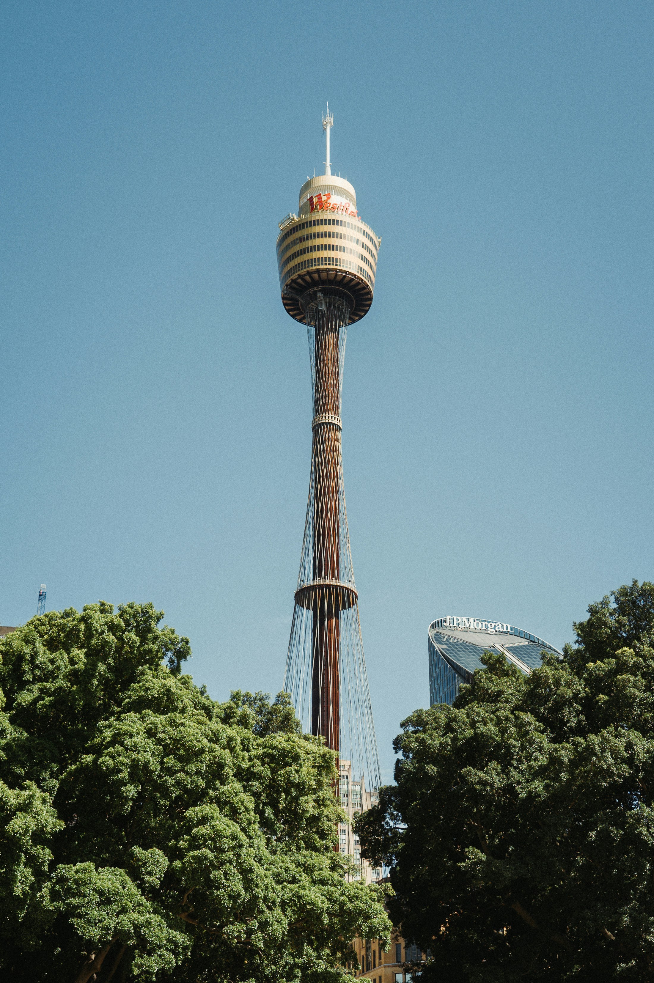 The Towering Sentinel of Sydney