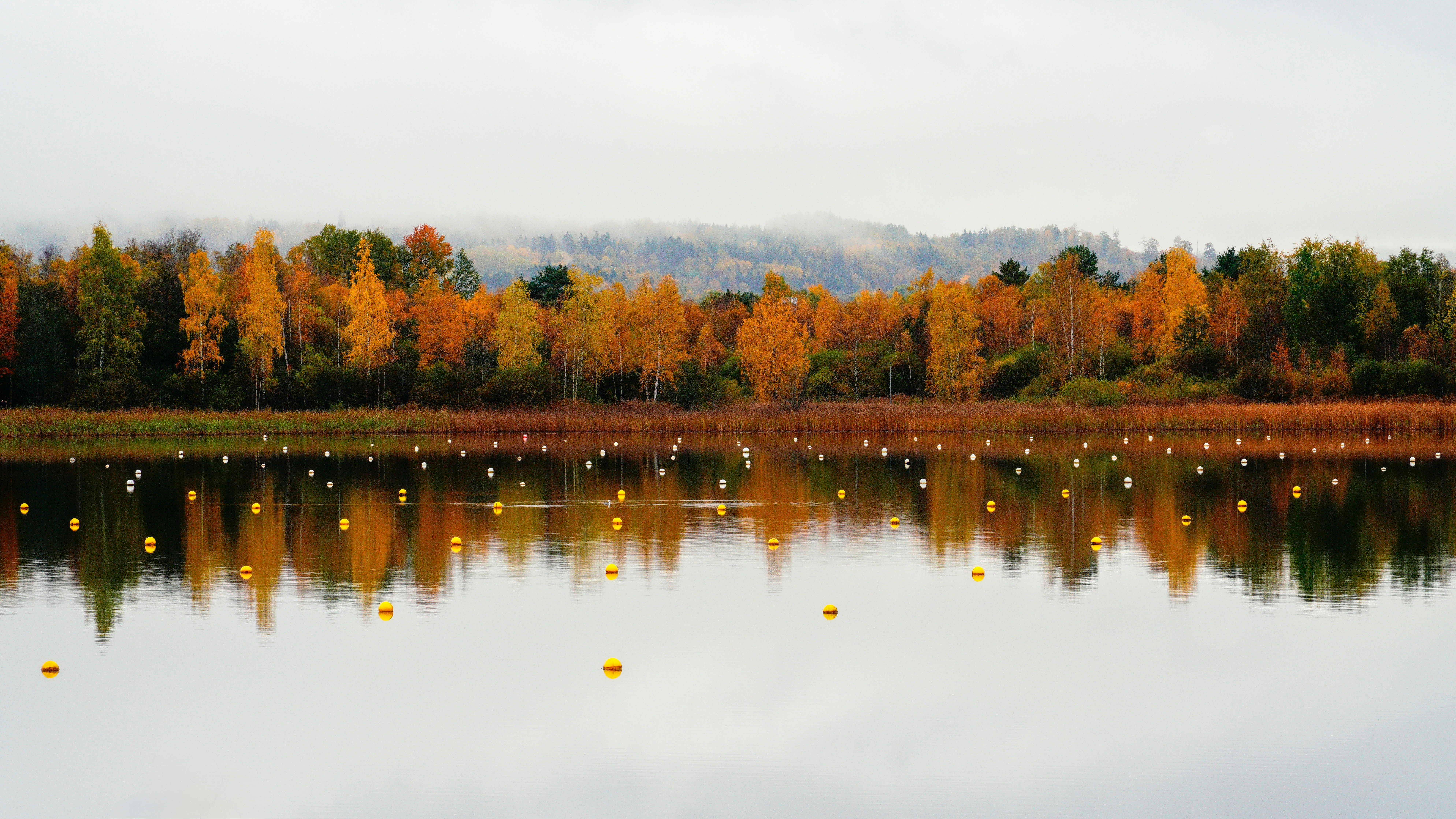 Reflections of Autumn's Palette