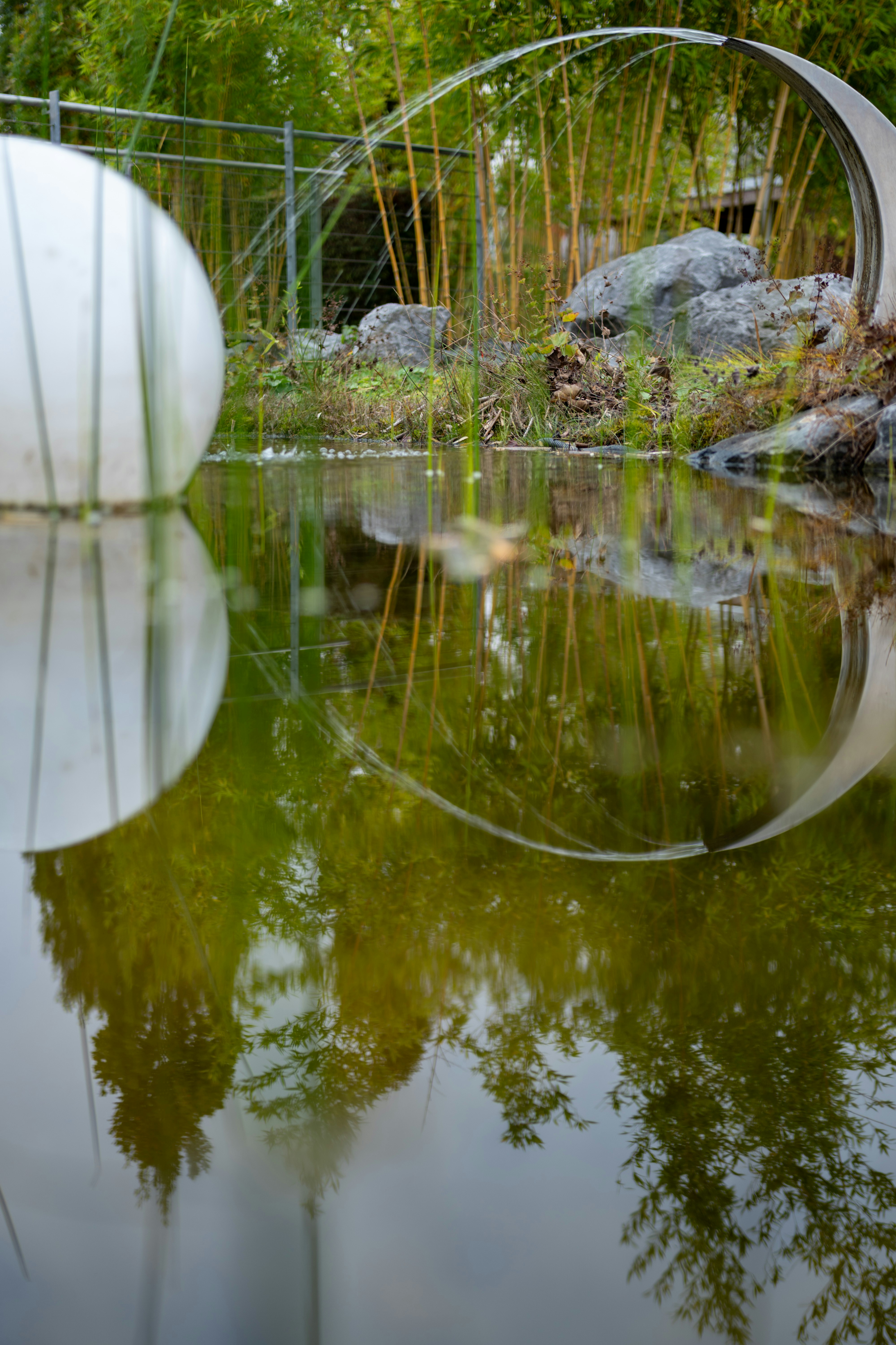 Reflections of Serenity: Nature's Embrace