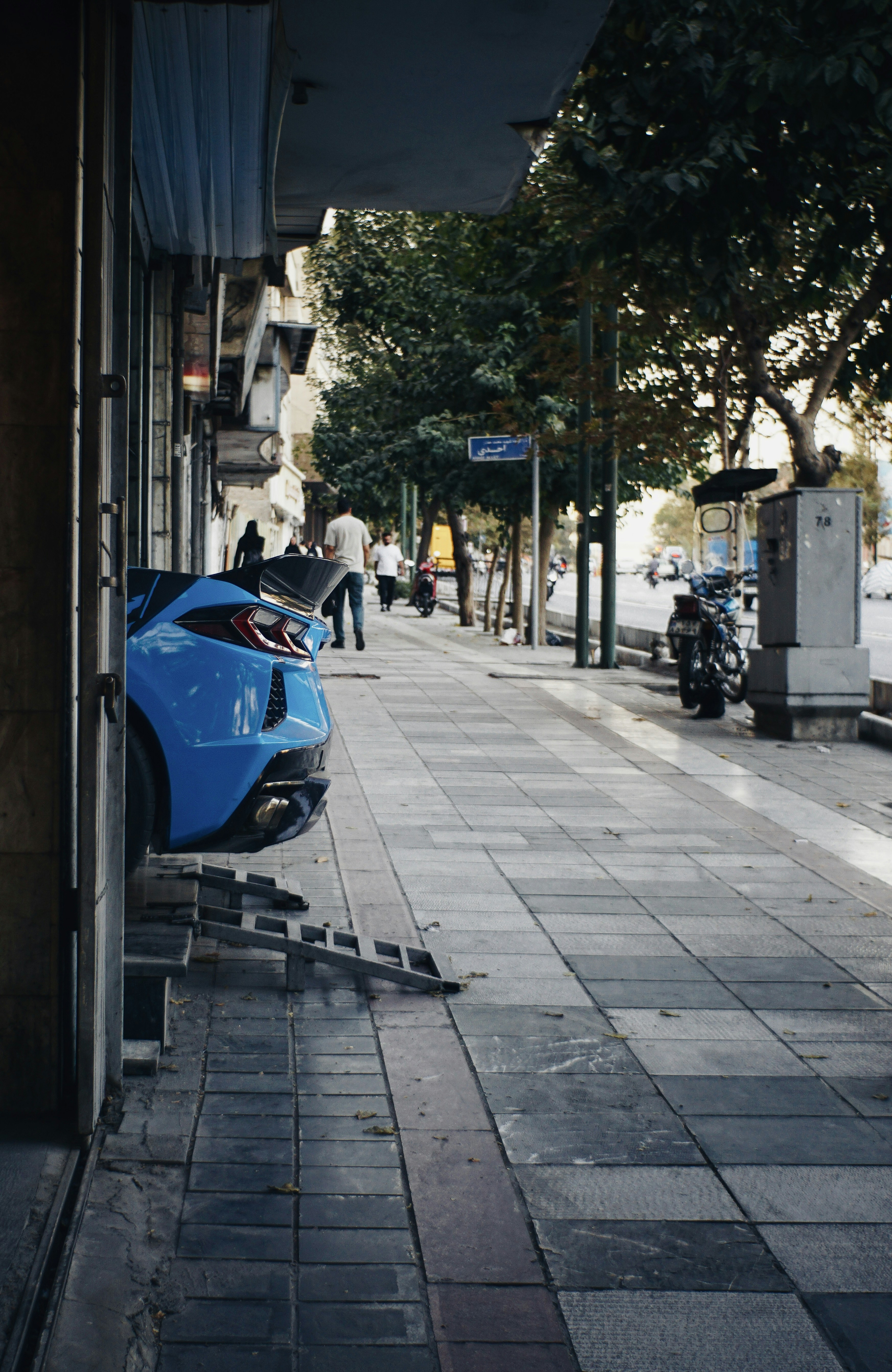 Urban Elegance: A Blue Beauty Amidst the Concrete Jungle