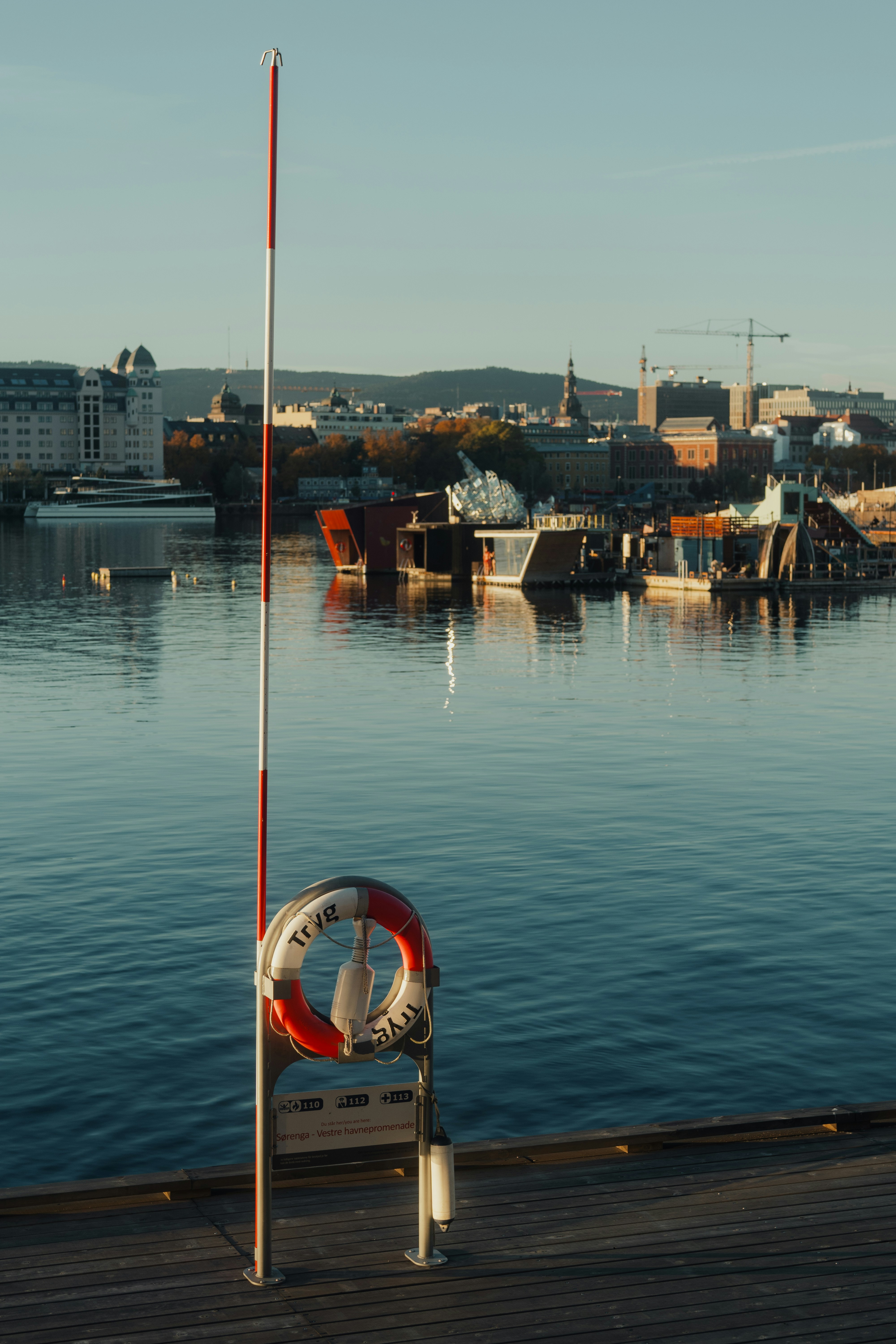 Reflections of Serenity: A Harbor's Embrace