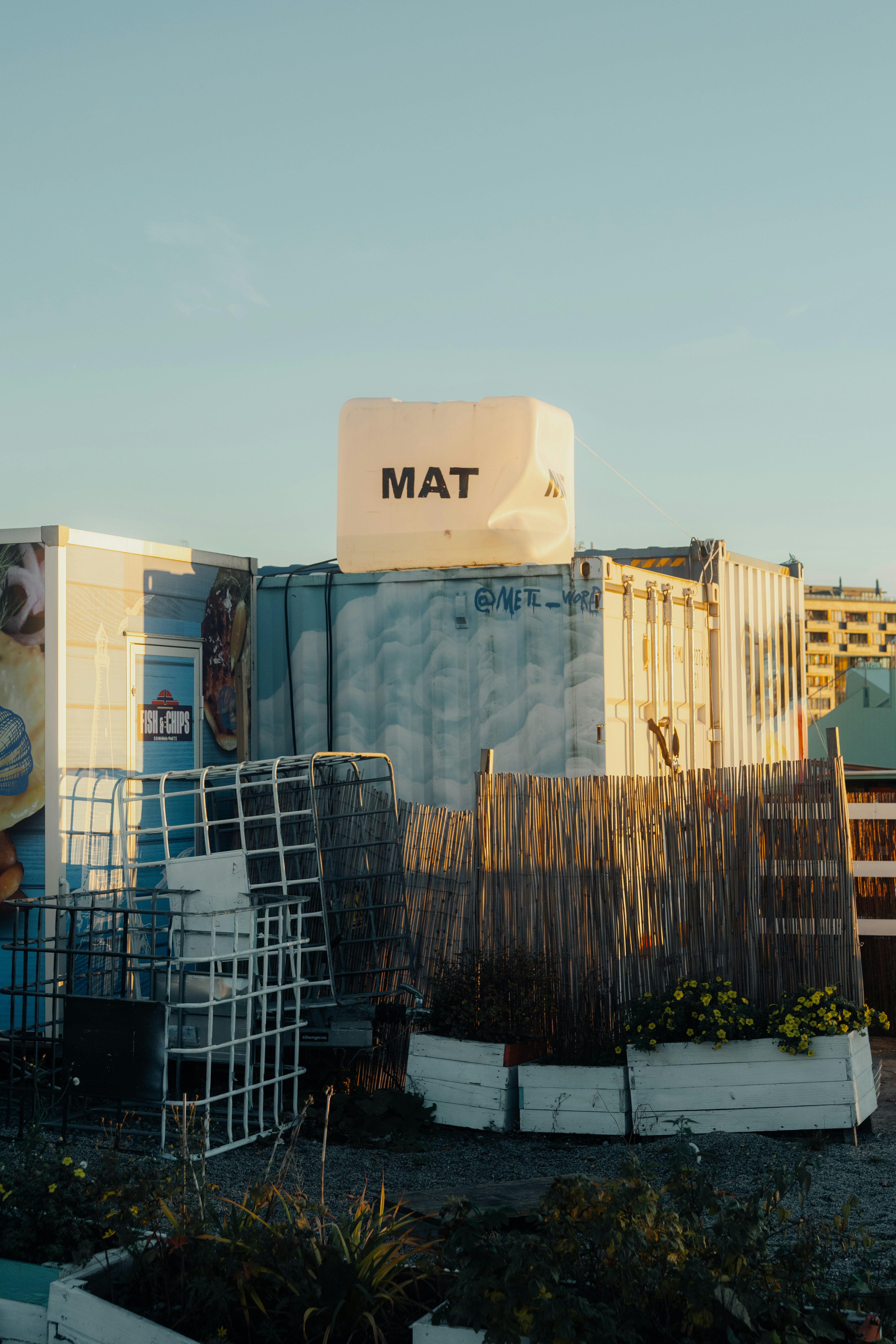 Urban Oasis: The MAT Container