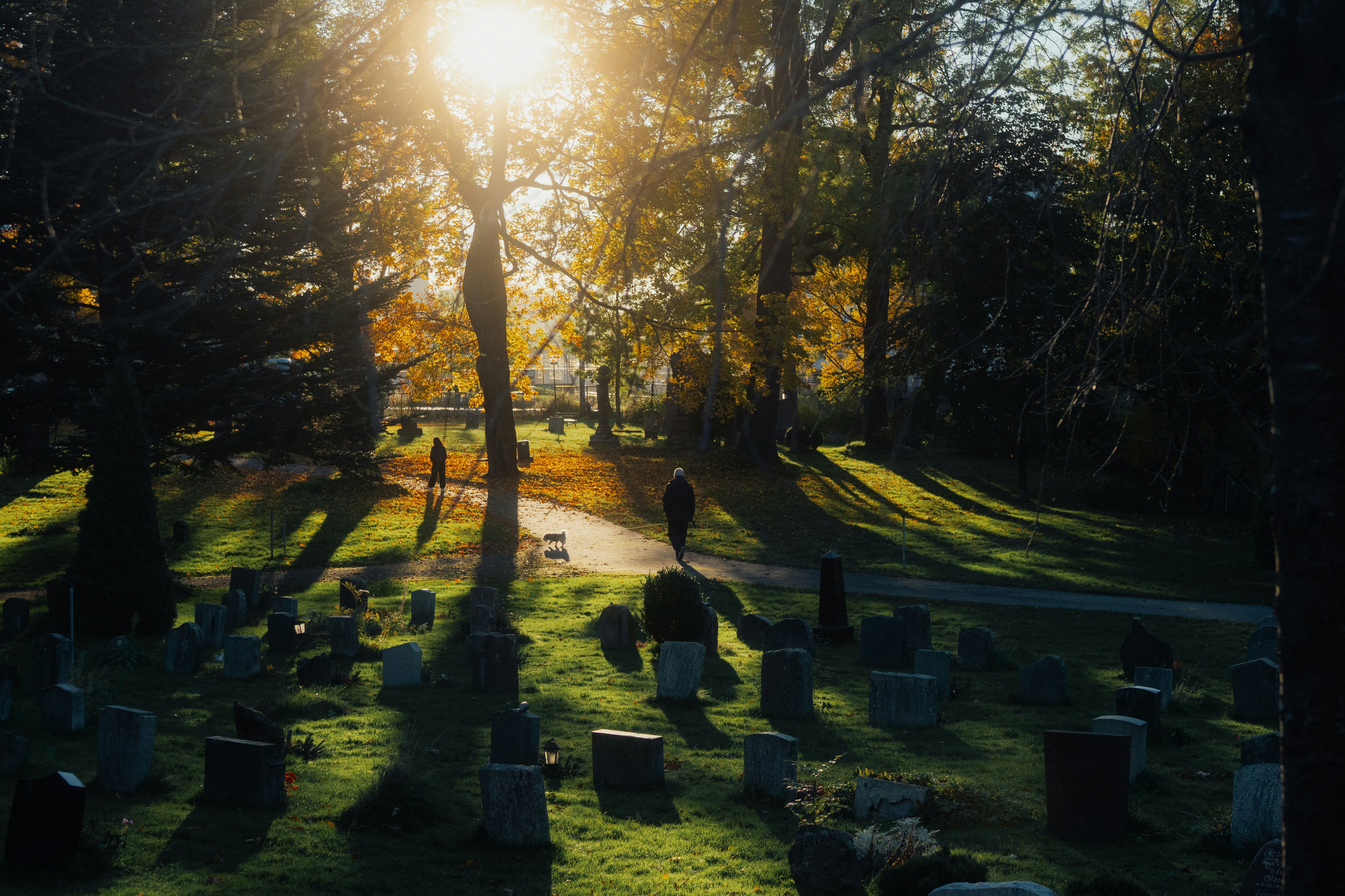 Whispers of Autumn in the Quiet Cemetery