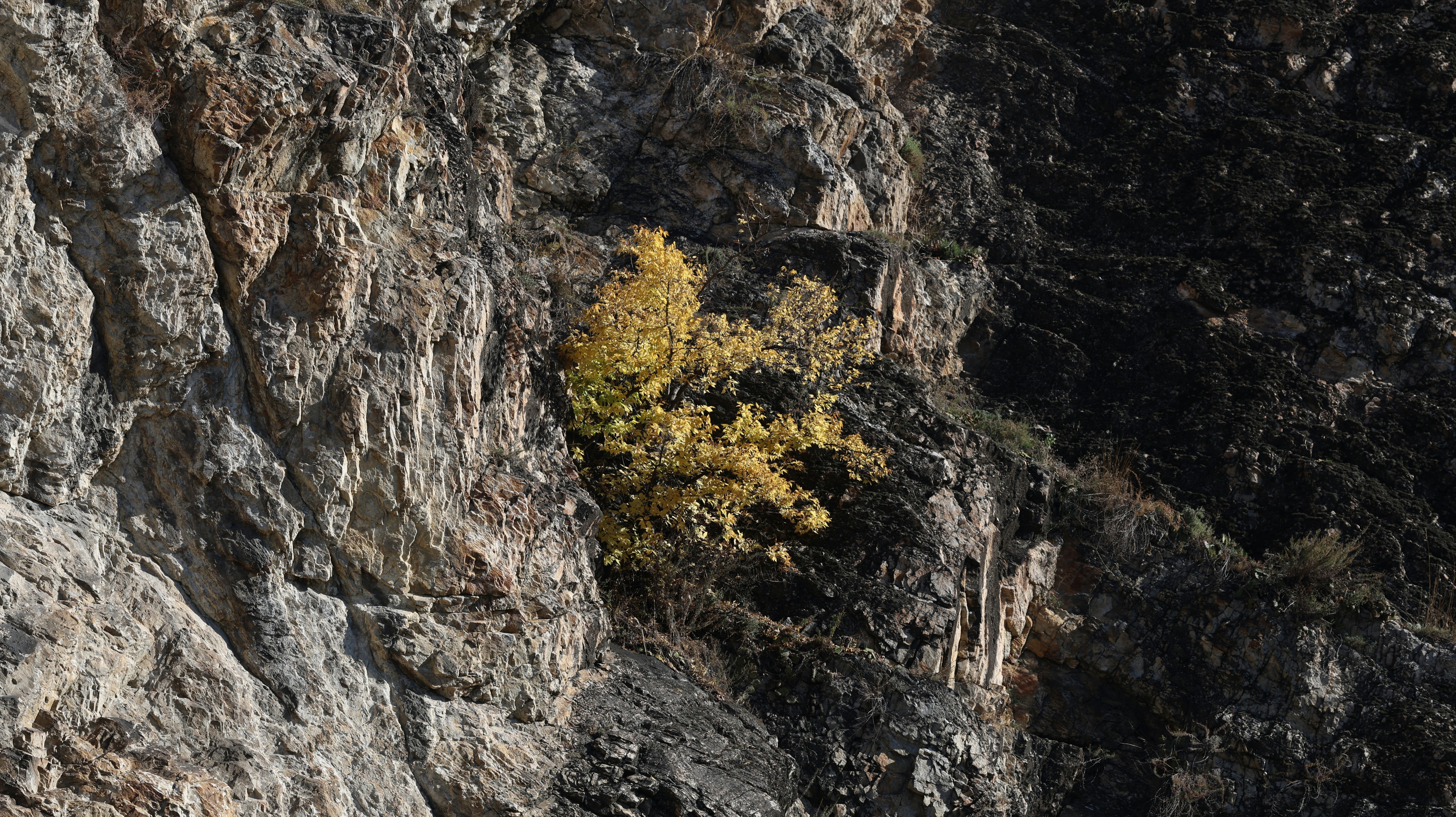 Resilience in the Crags