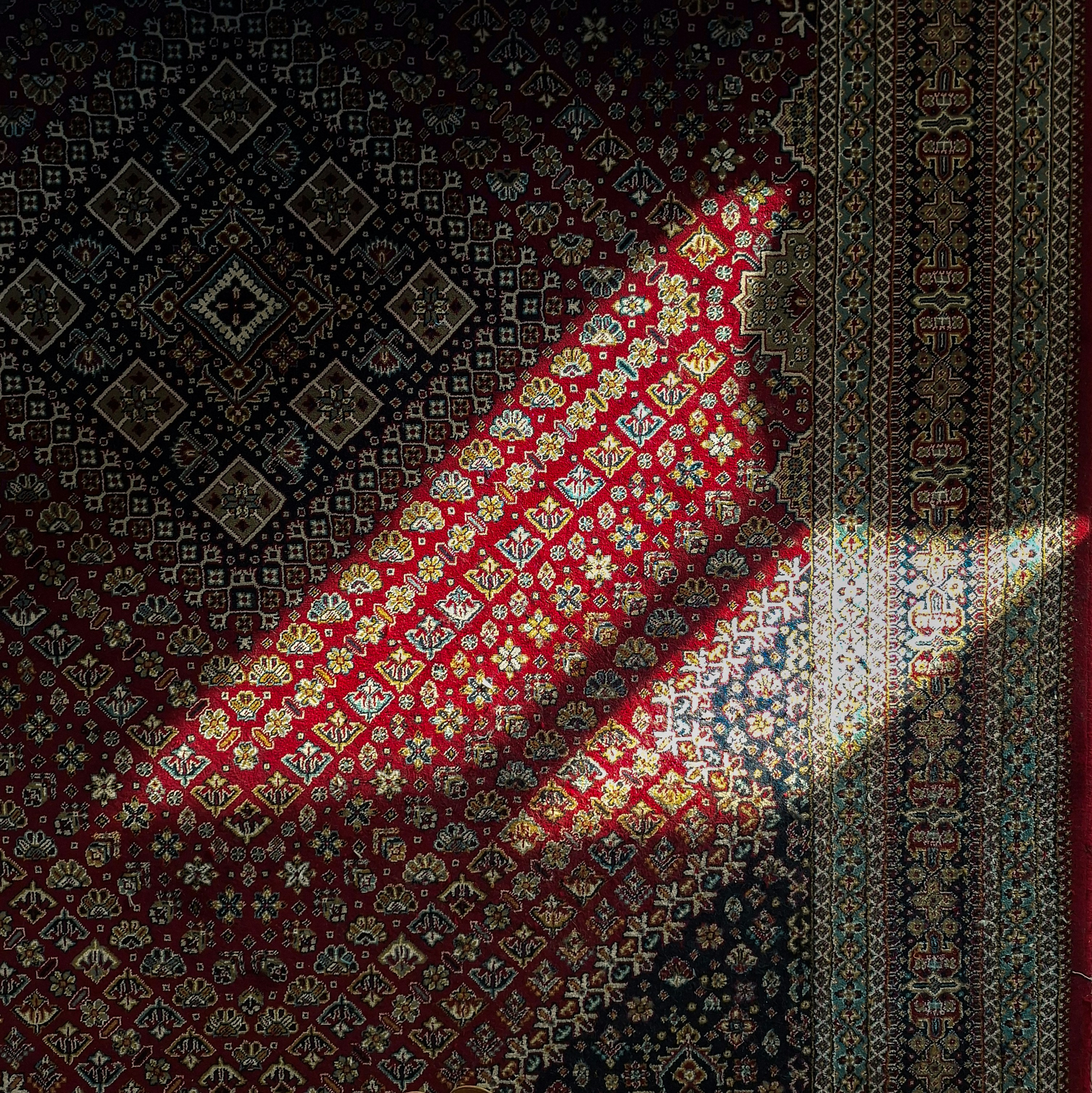 A traditional Persian carpet with intricate geometric and floral motifs, illuminated by natural sunlight. The red and dark tones create a striking contrast, highlighting the timeless beauty of oriental rug craftsmanship. Perfect for design, culture, and interior inspiration. | Intricate carpet with geometric patterns and sunlight.