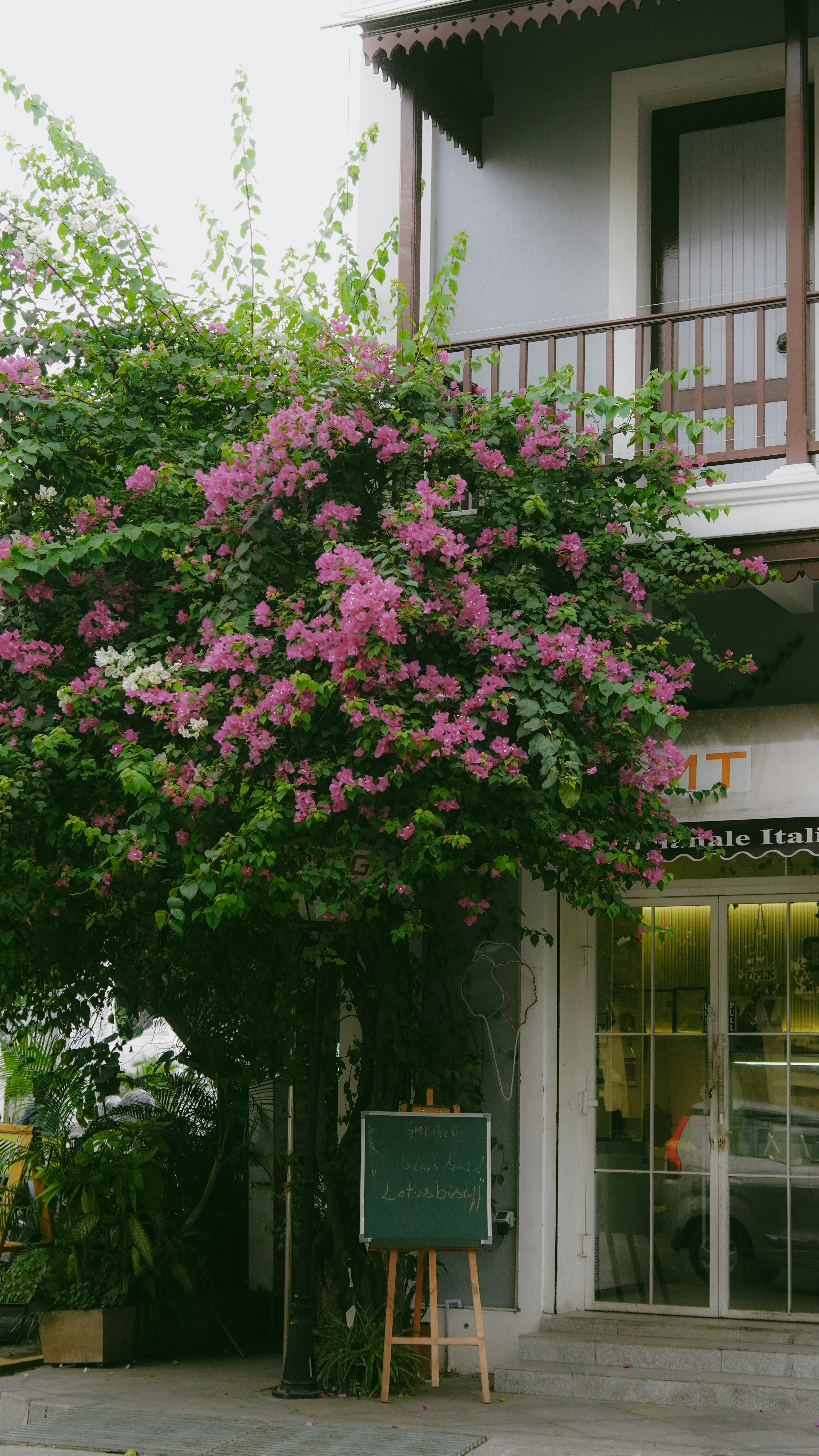Vibrant bougainvillea cascades over a charming storefront, complemented by a chalkboard sign inviting passersby. The scene exudes a warm, welcoming atmosphere.