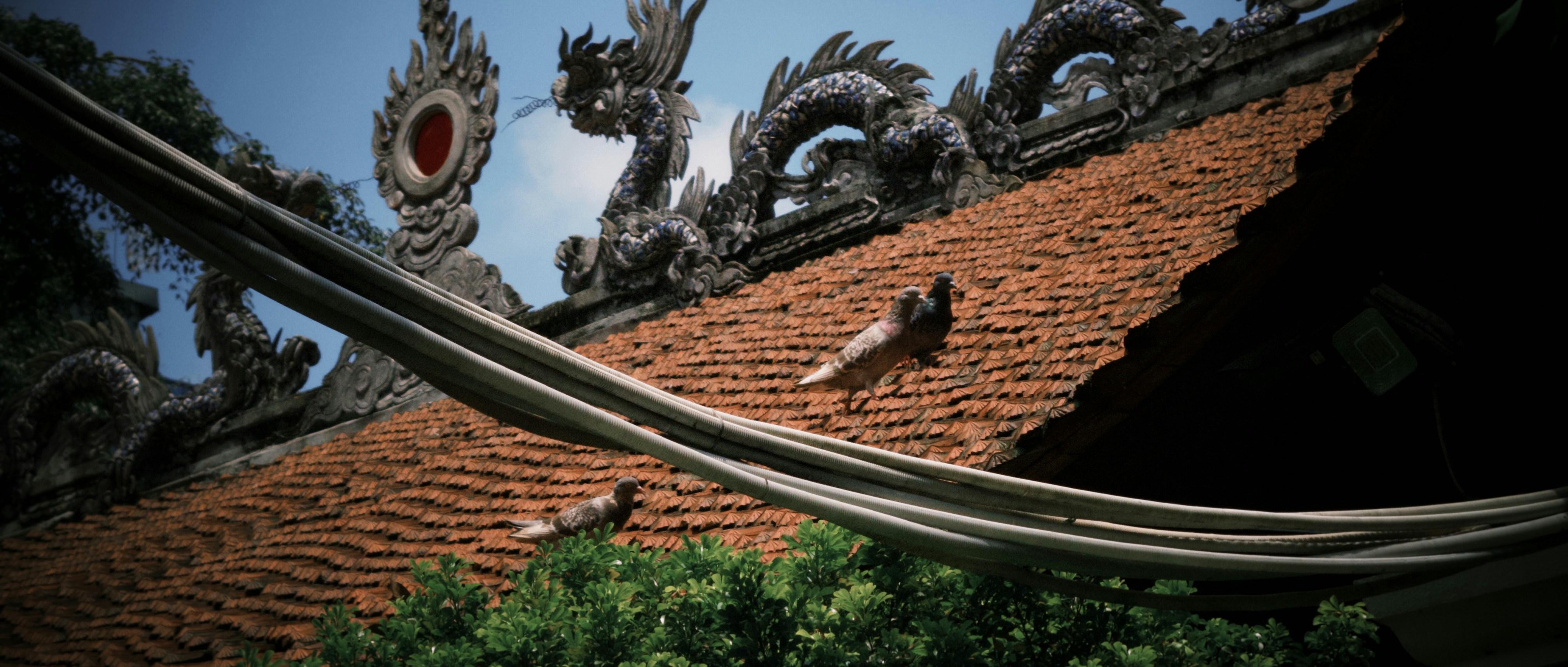 On the roof of a pagoda in Ha Noi | Dragon ornaments on a tiled roof with birds