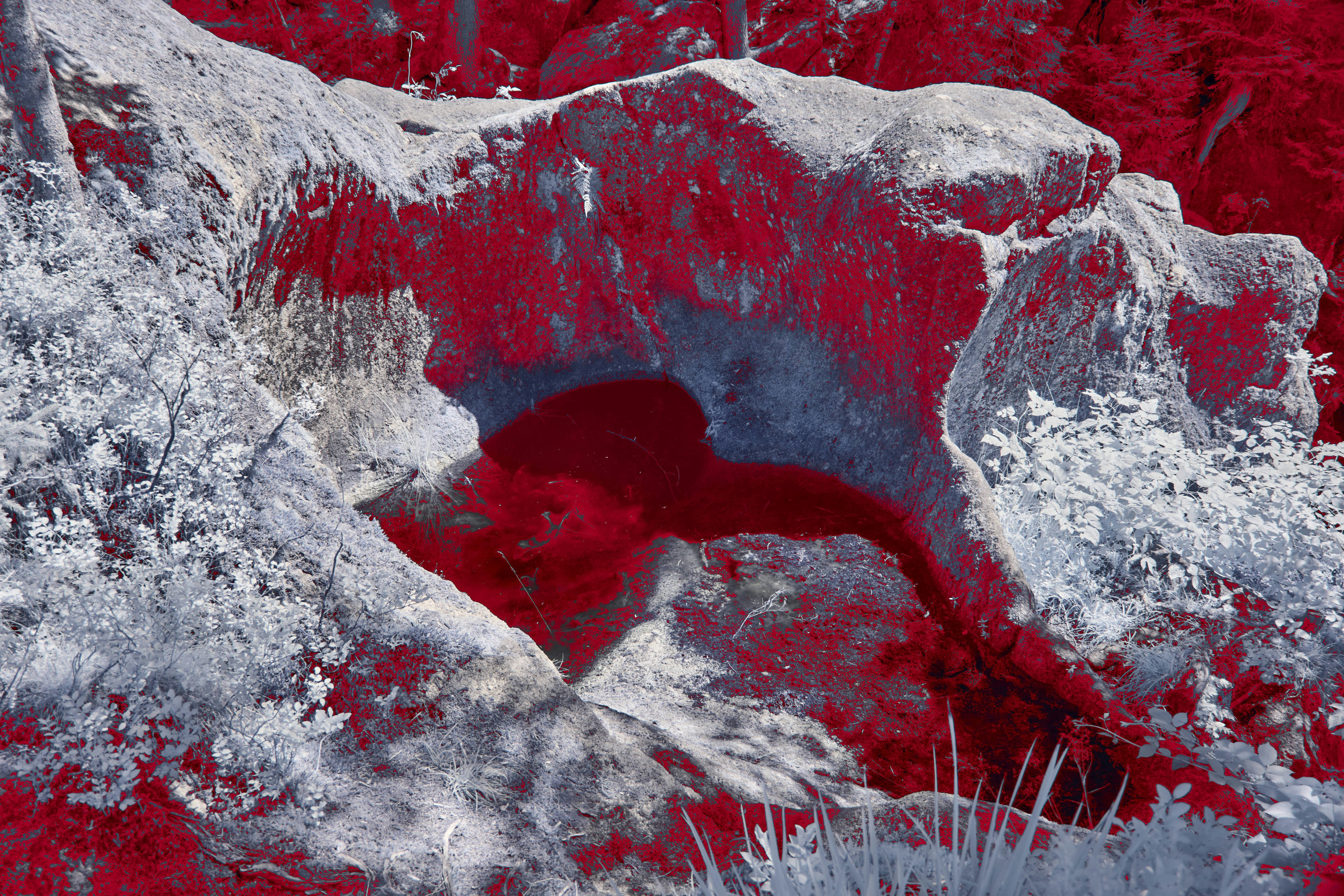 Abstract red and white rock formation with vegetation