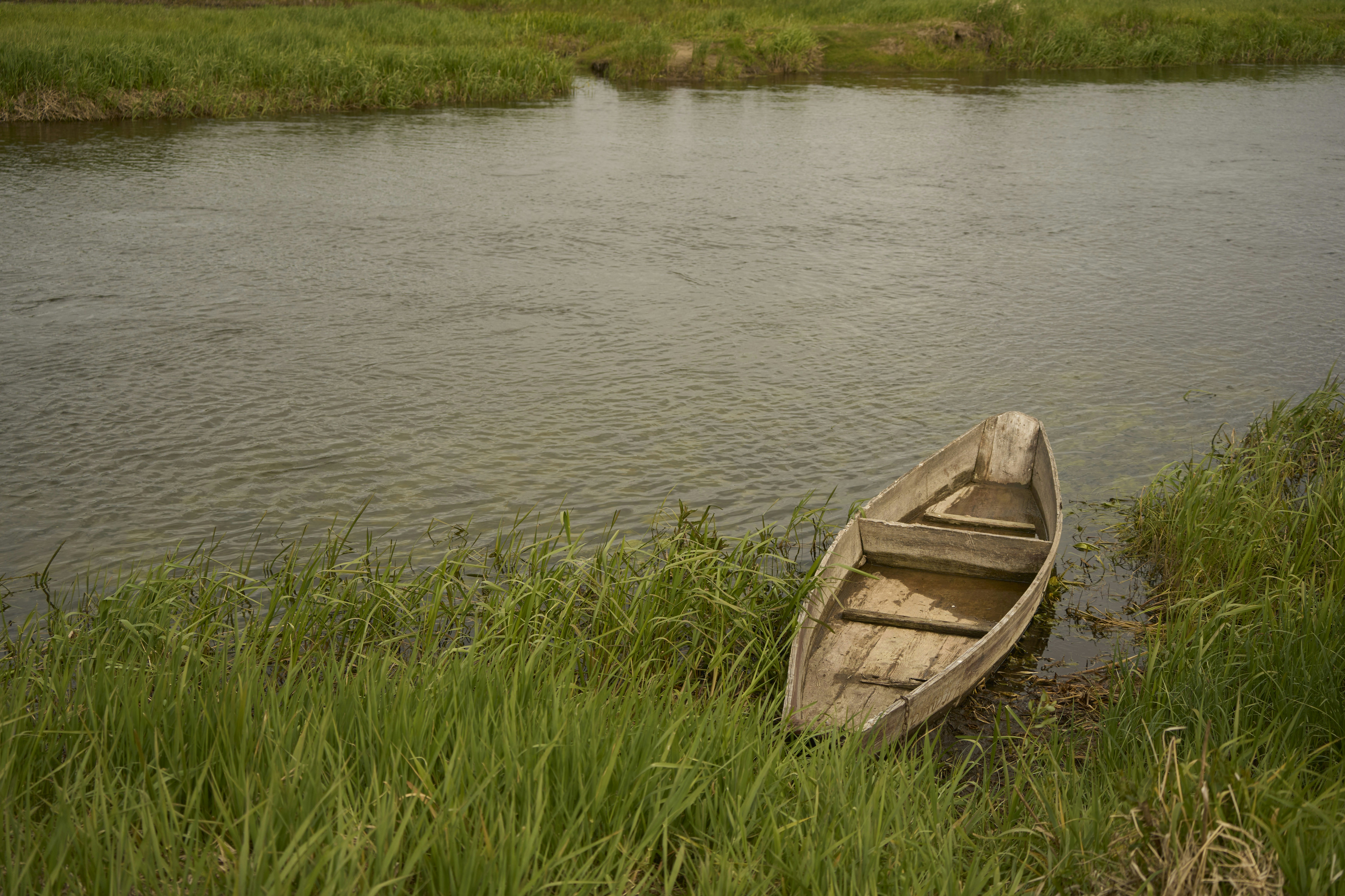 Wooden boat rests on grassy riverbank