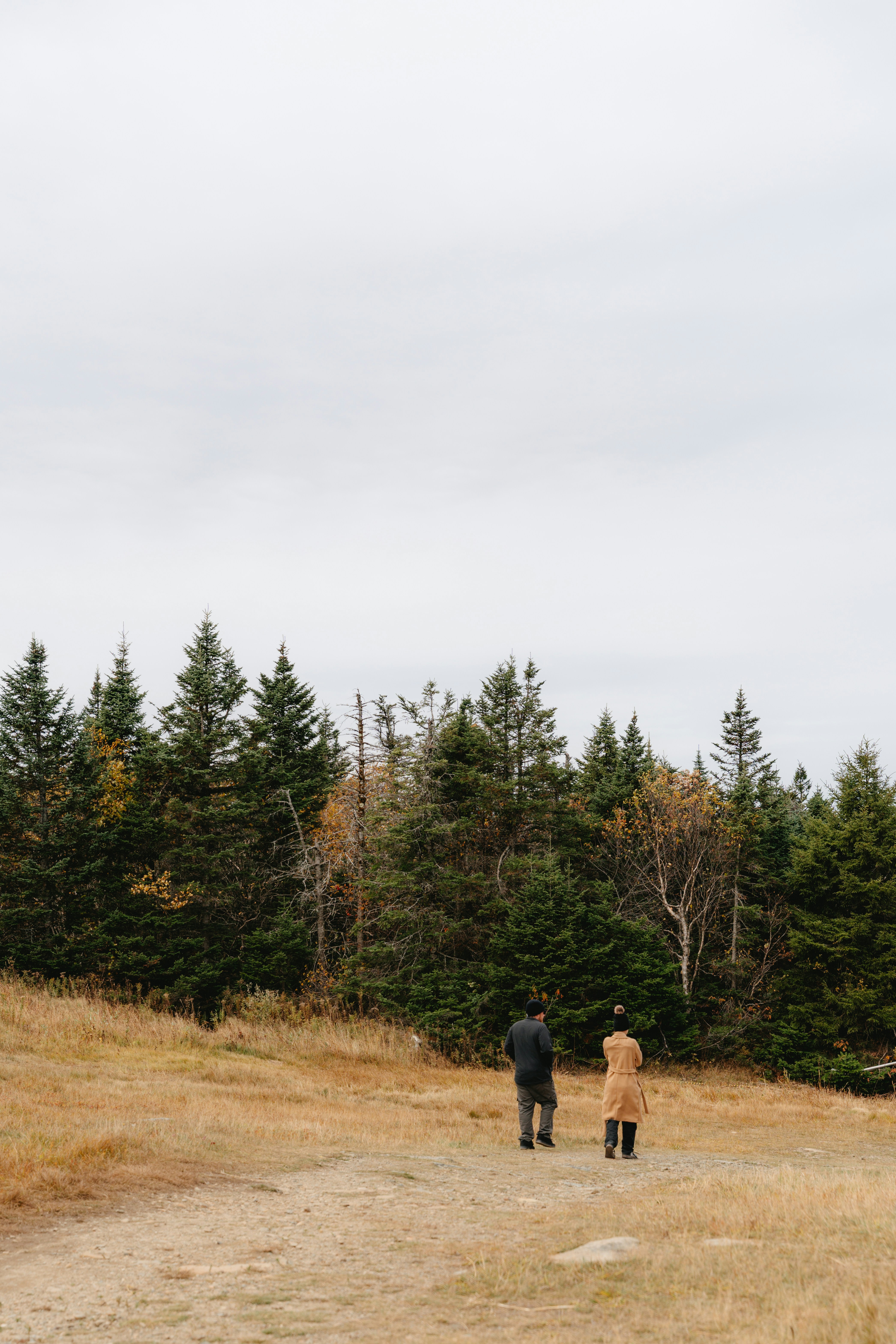 Wanderers Amidst Whispering Pines