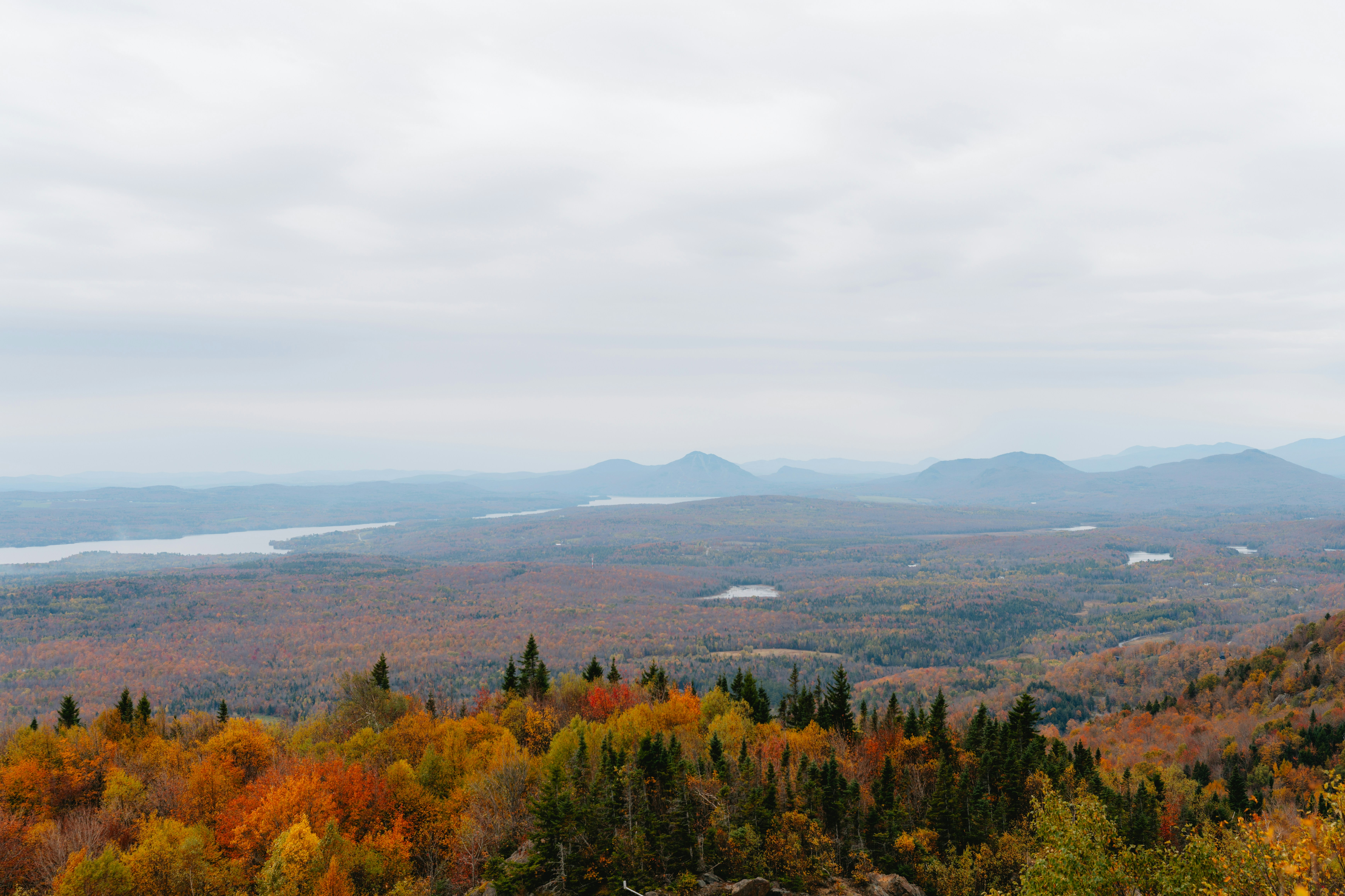 Autumn forest landscape with distant lake and mountains