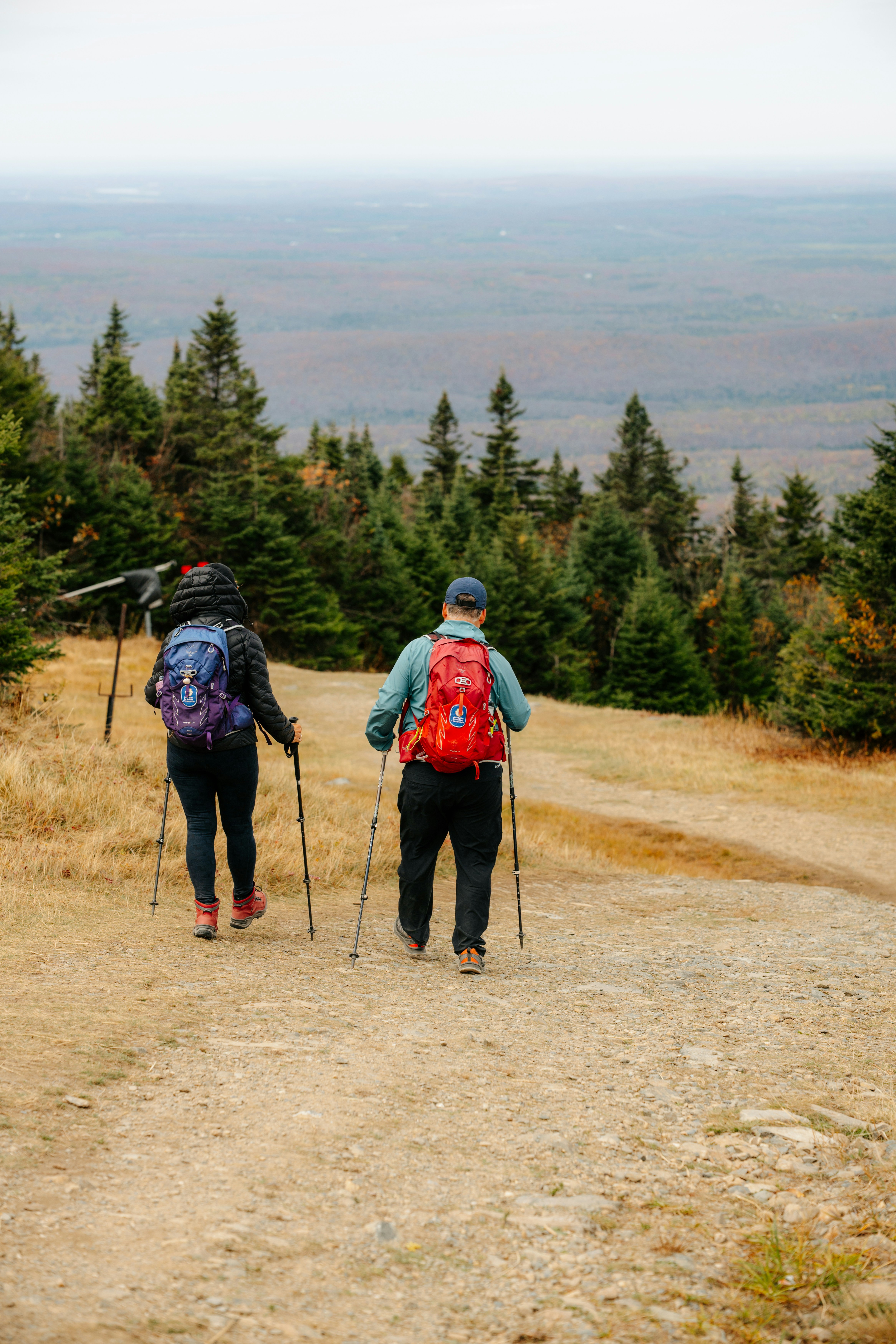 Trailblazers in Autumn's Embrace