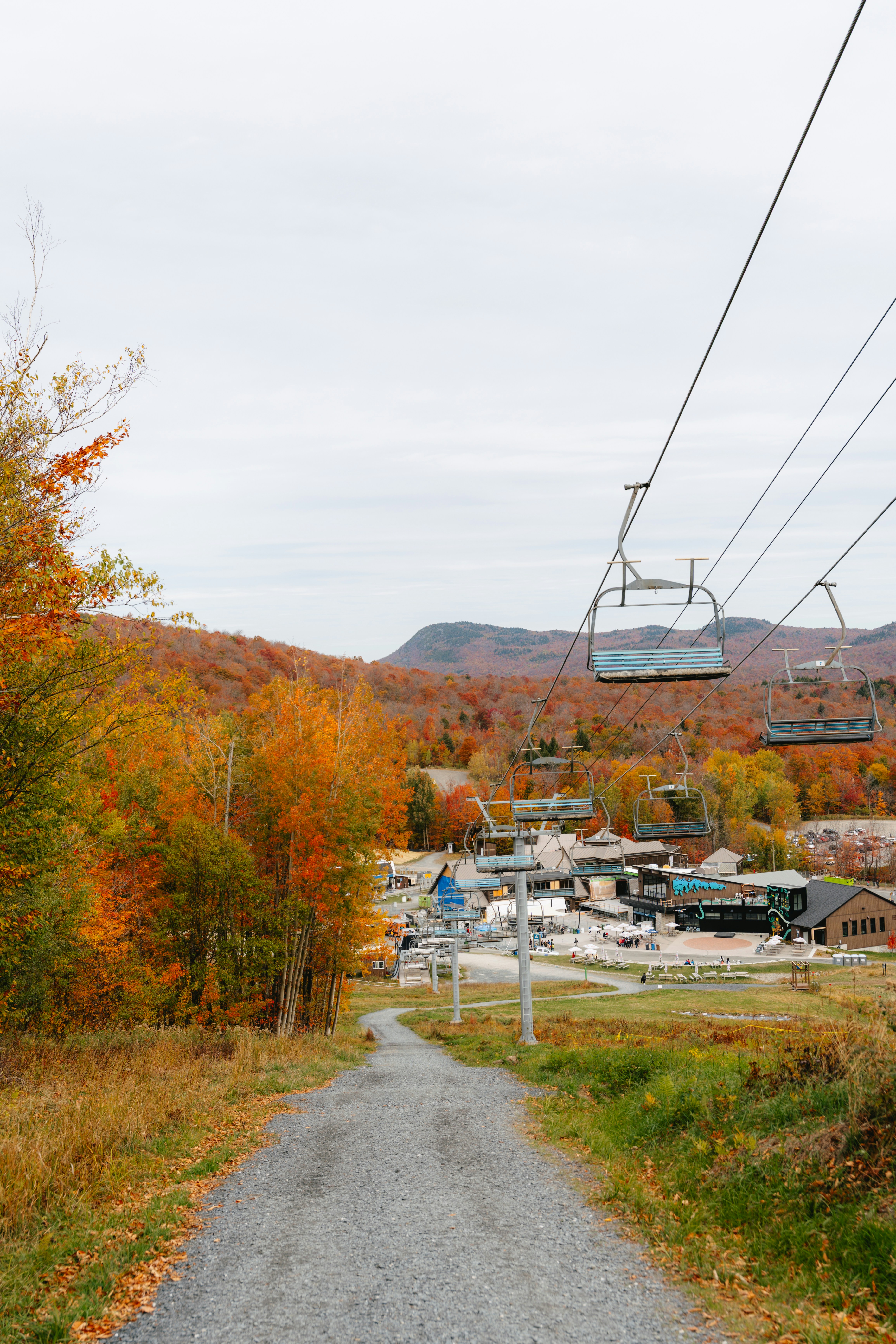 Autumn's Embrace: The Ascent to Adventure