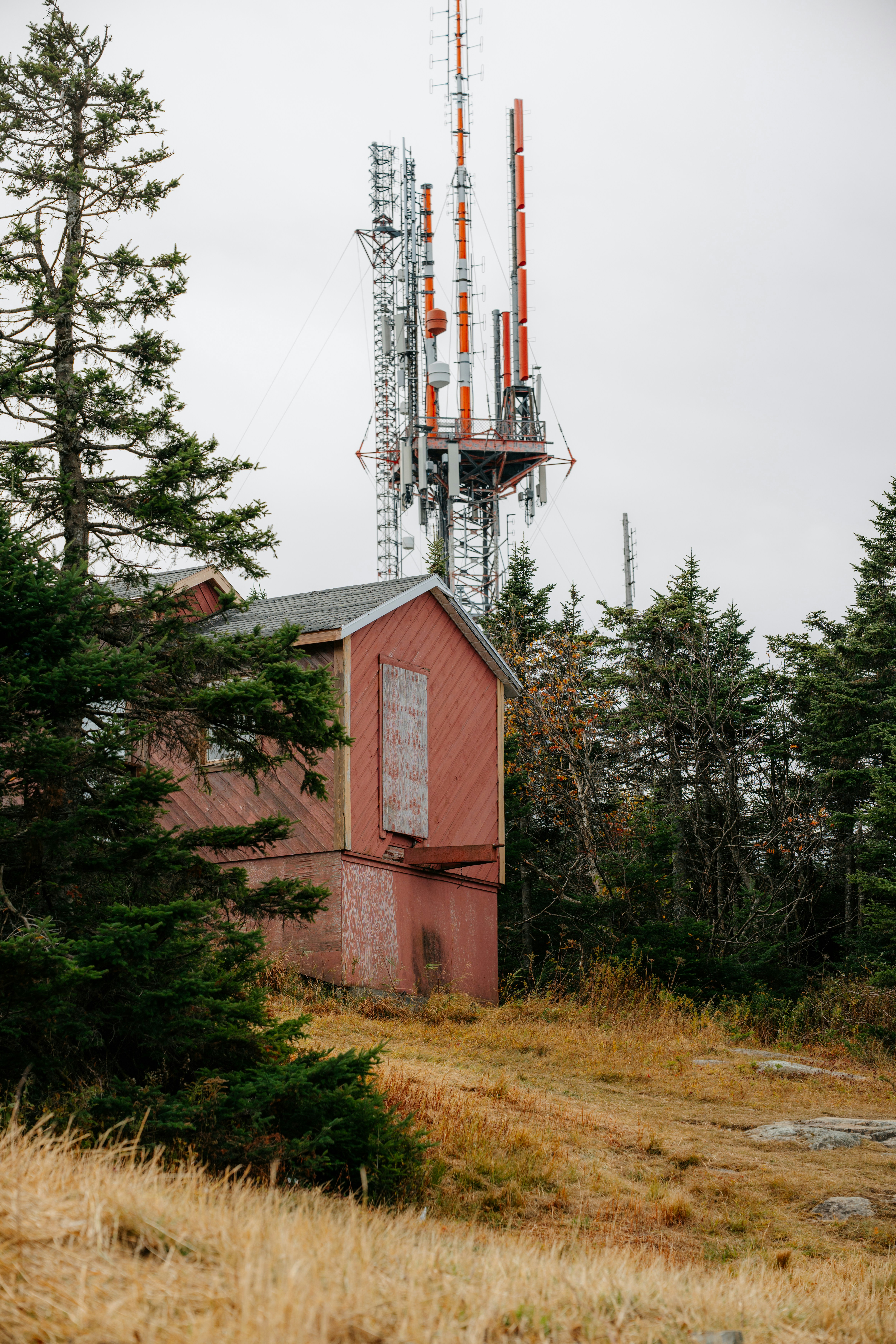 Silent Guardians of Connectivity